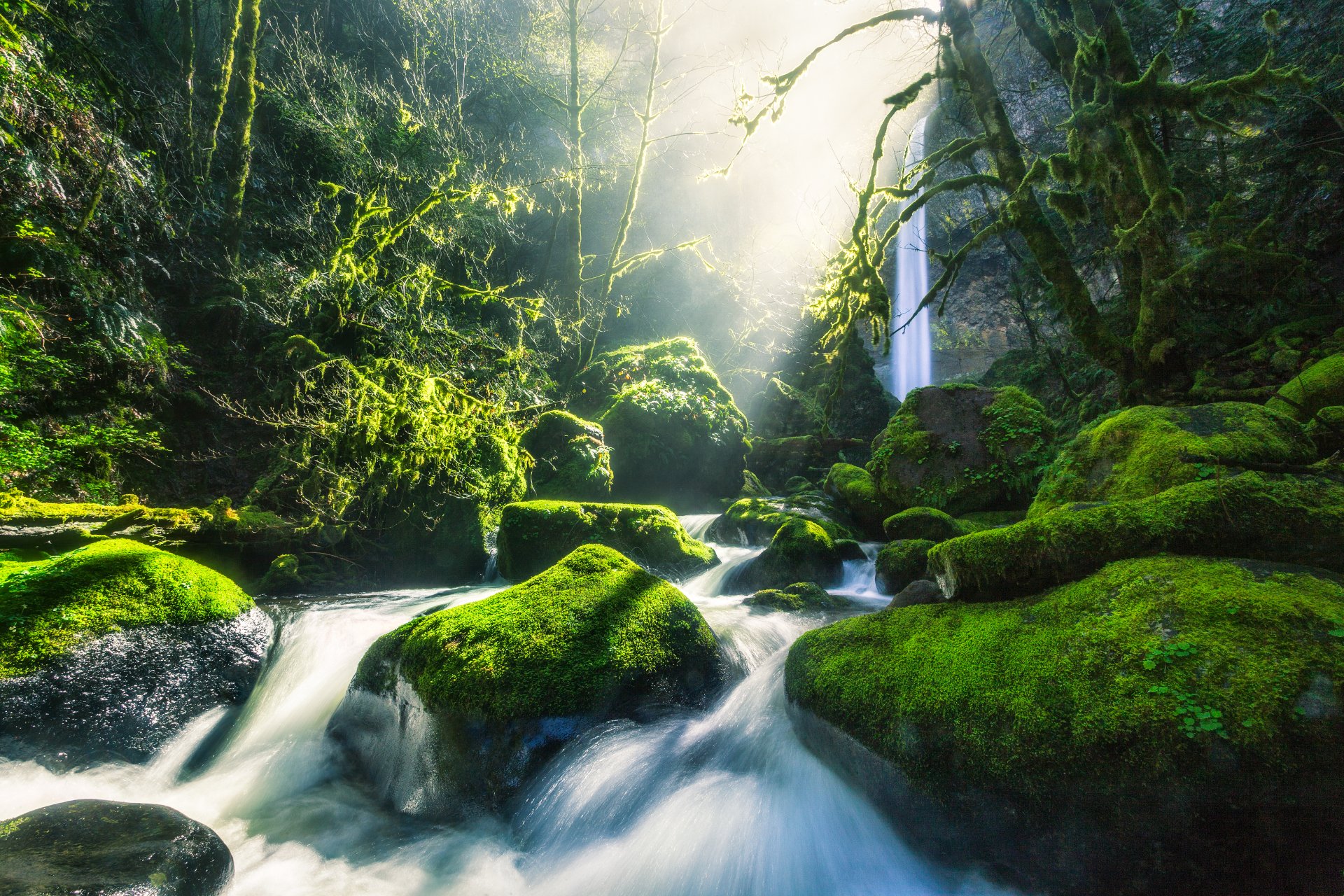 Sunlit Moss Stream at Elowah Falls — 4K Ultra HD Waterfall Wallpaper by ...