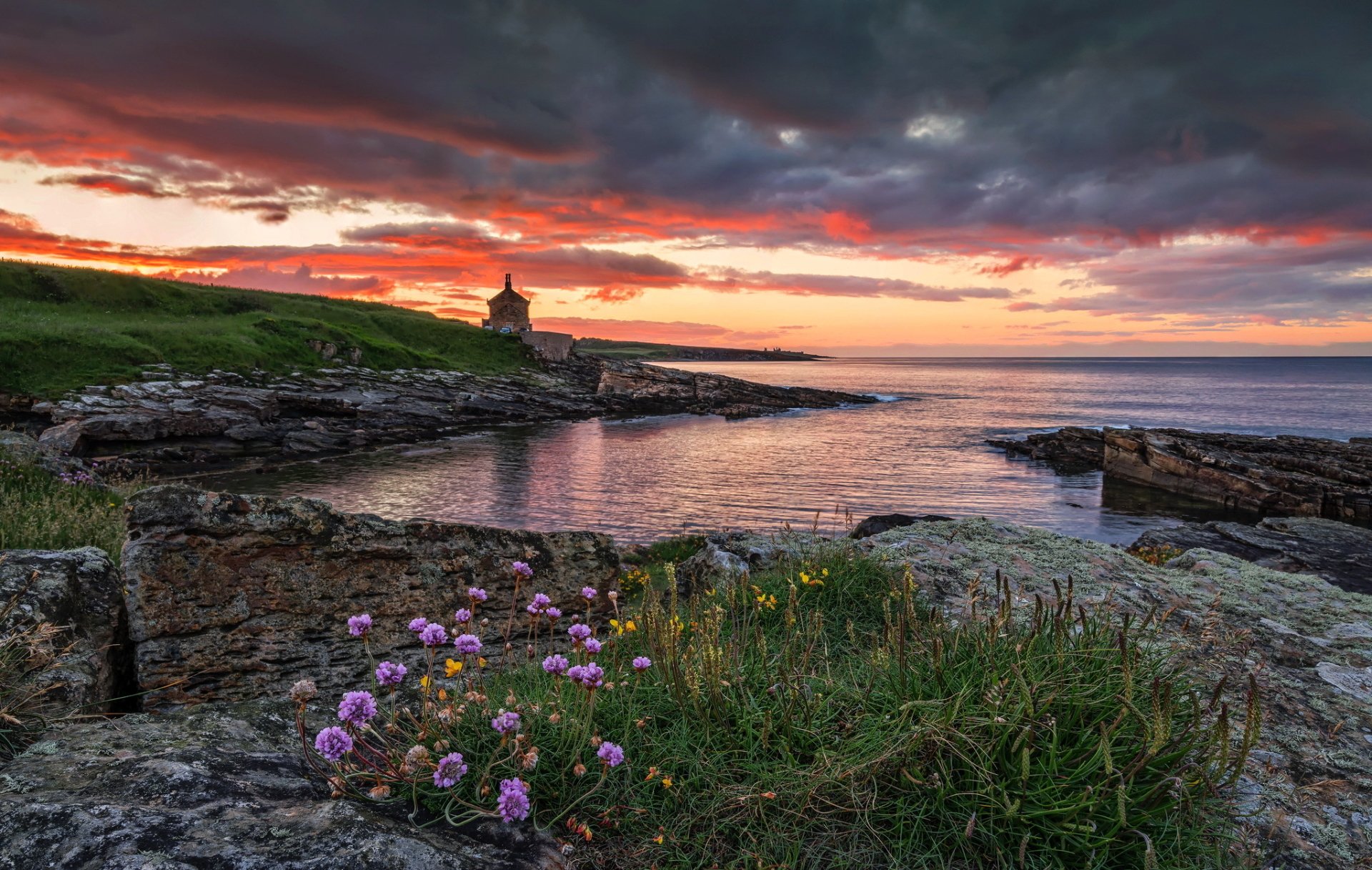 Download Cloud Sky Ocean Horizon Flower Coast Photography Coastline HD ...