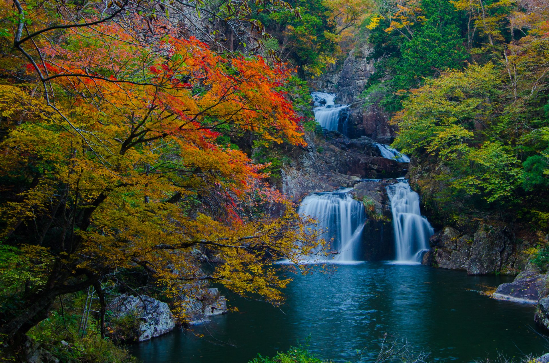 Download Pond Tree Fall Nature Waterfall 4k Ultra HD Wallpaper by ...