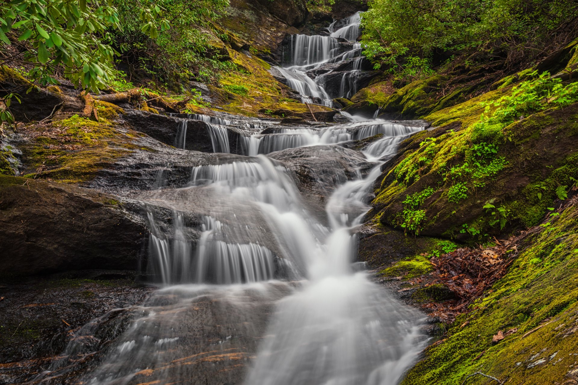 Download Moss Nature Waterfall 4k Ultra HD Wallpaper