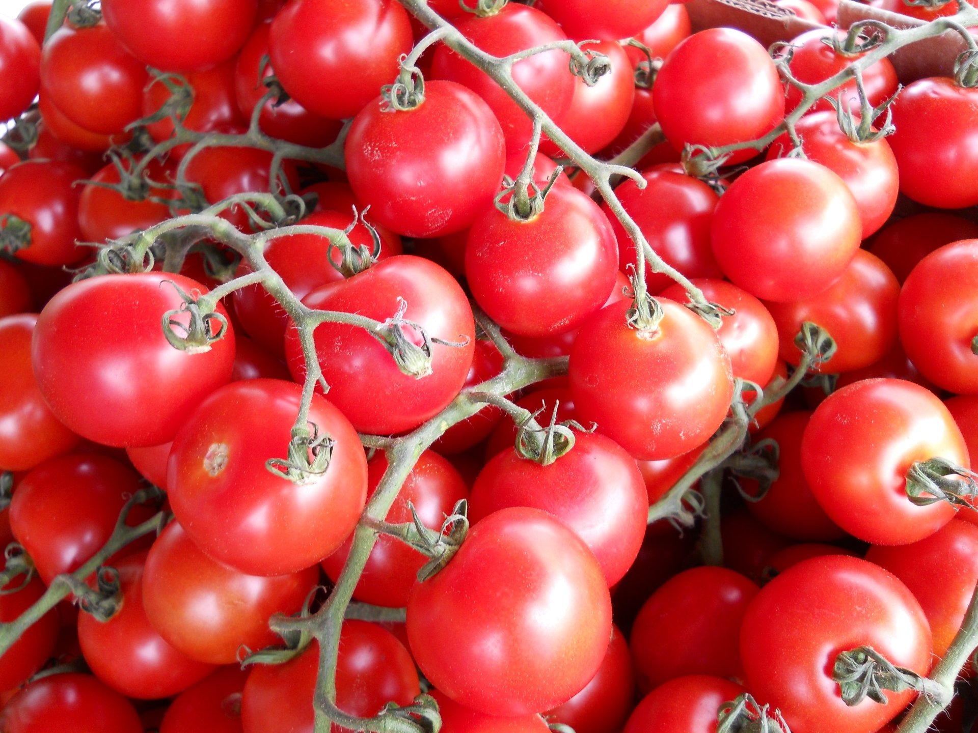 Download Red Food Tomato 4k Ultra HD Wallpaper