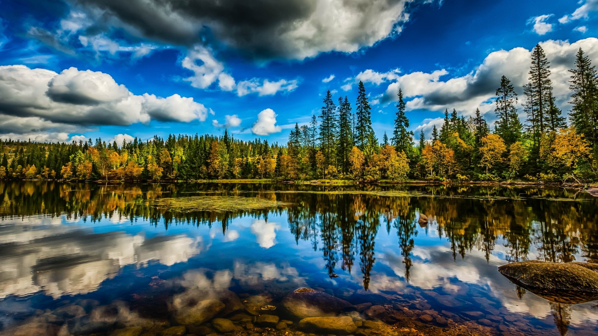 4K Ultra HD Scenic Forest Lake Reflection Under a Cloud-Kissed Sky