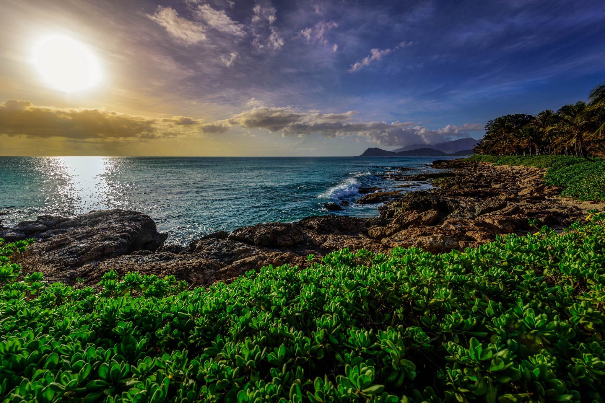 Download Horizon Green Ocean Sea Coast Nature Coastline HD Wallpaper