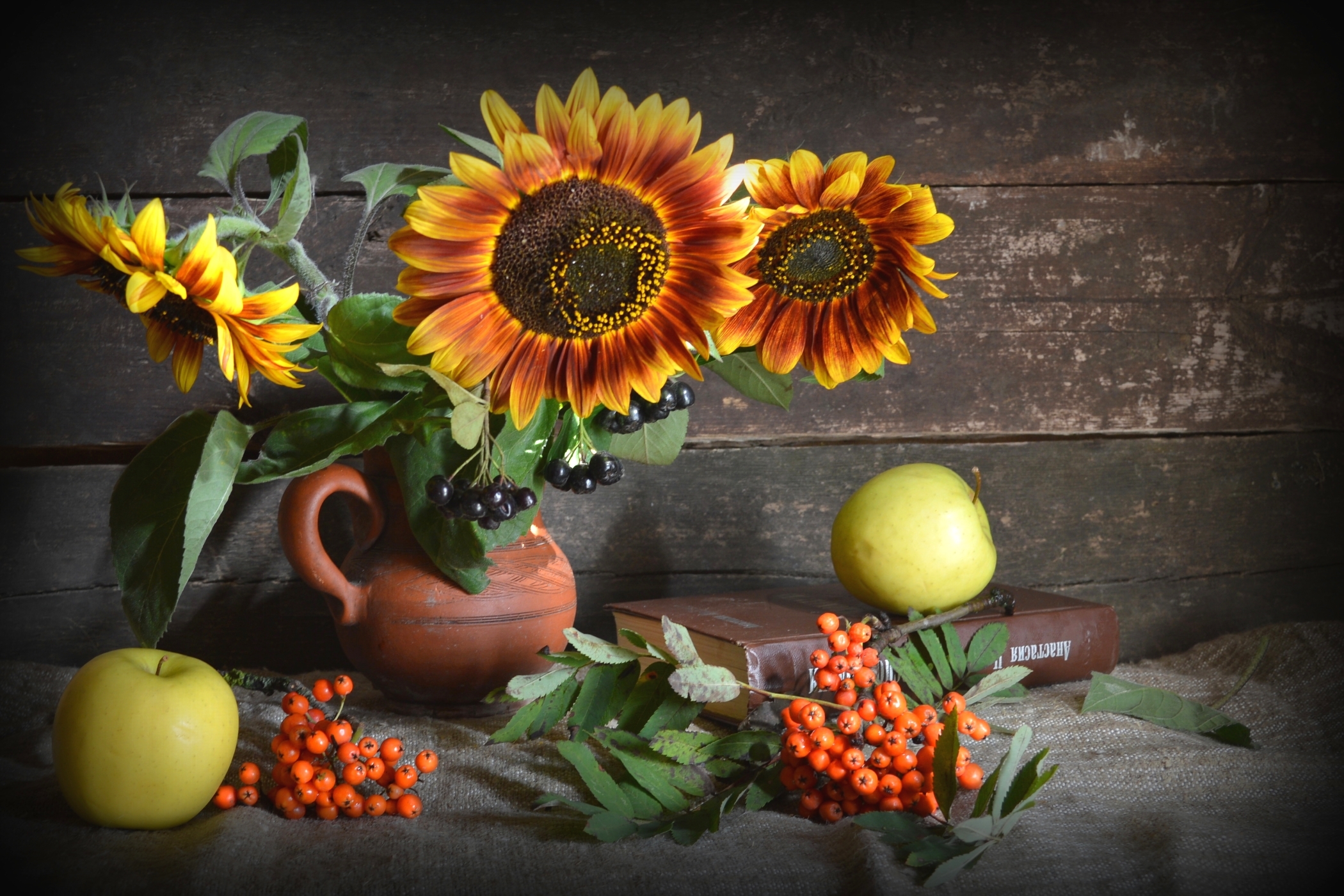 Download Sunflower Apple Photography Still Life HD Wallpaper