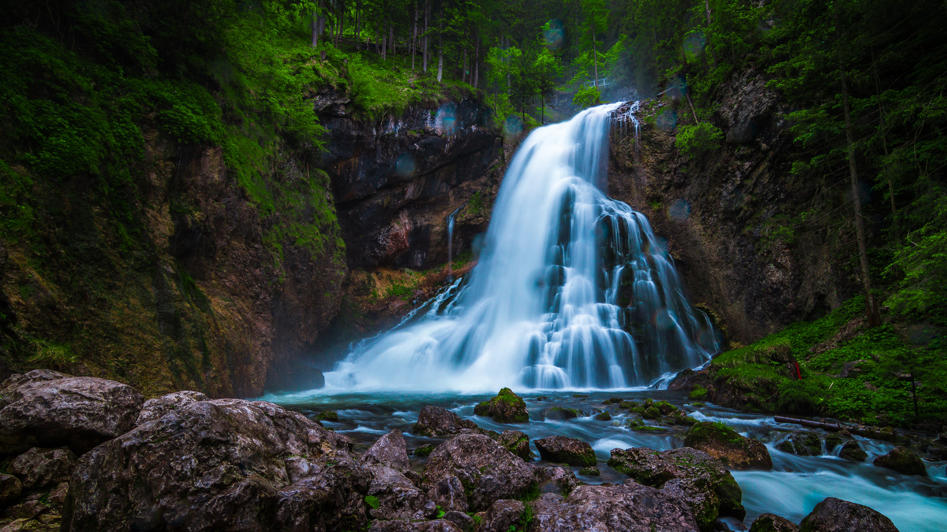 Cascading Forest Waterfall
