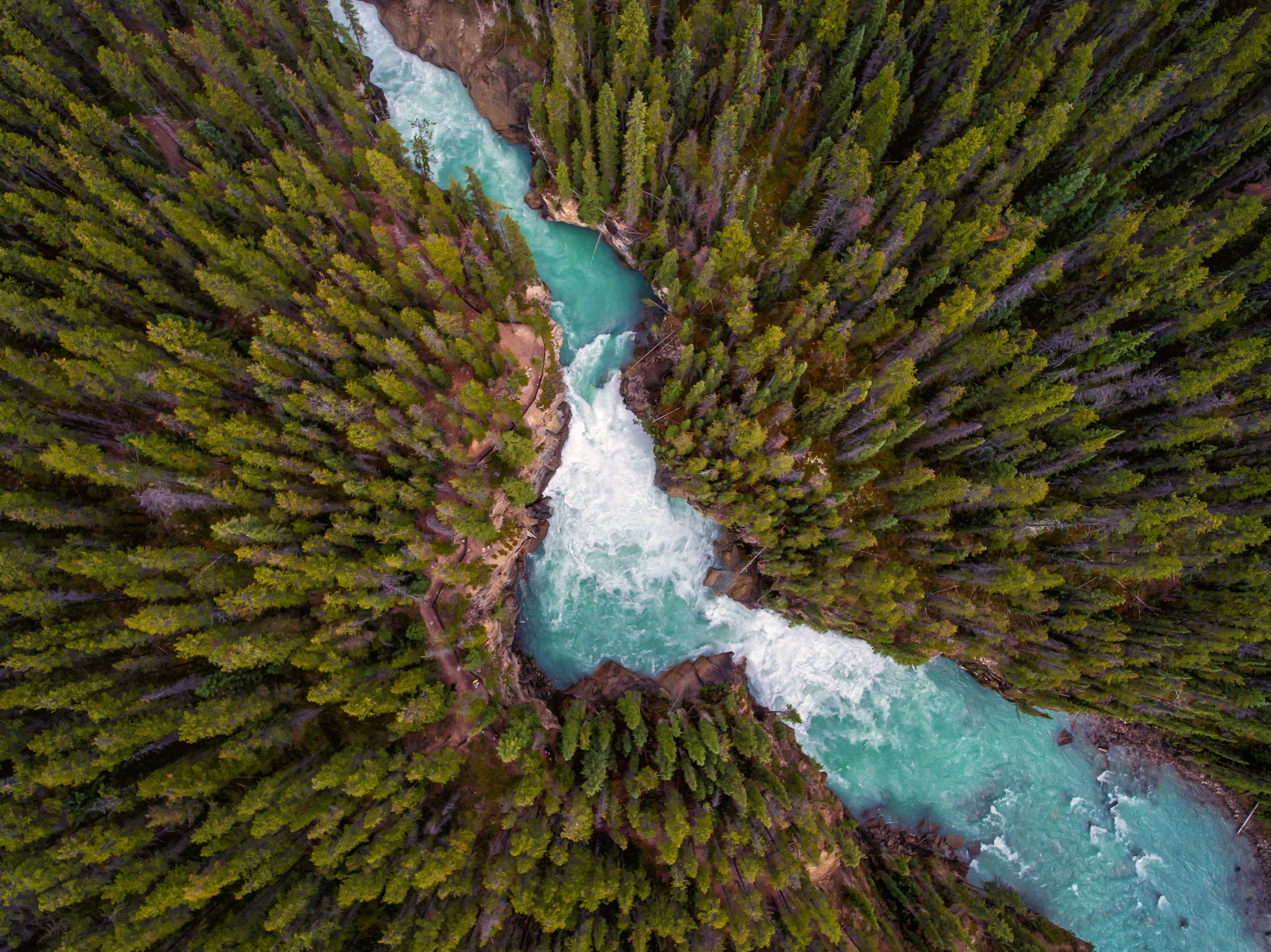 Download Aerial Forest Nature River HD Wallpaper