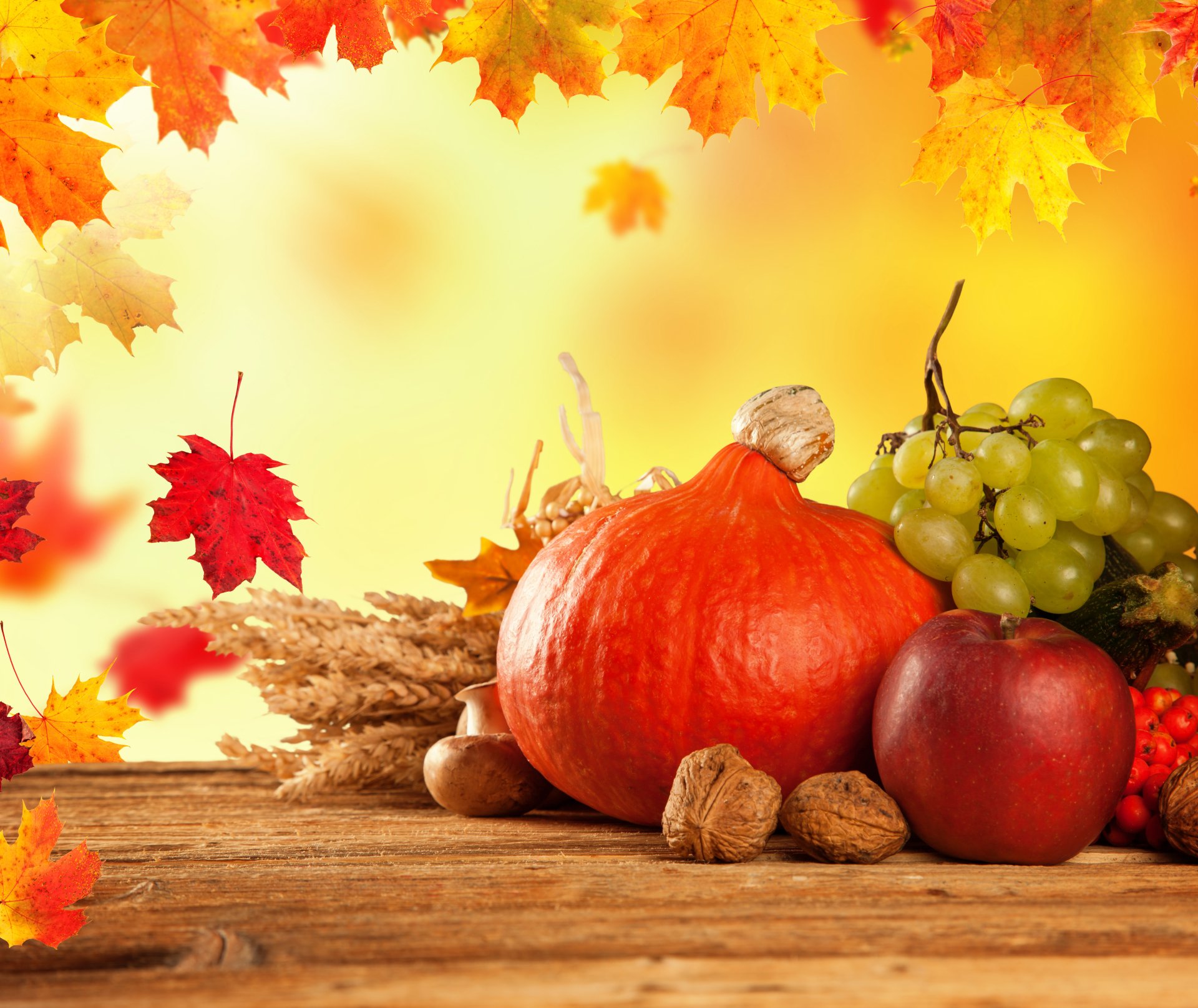 8K Ultra HD Fall Harvest: Pumpkin, Apples, Grapes & Autumn Leaves Still ...