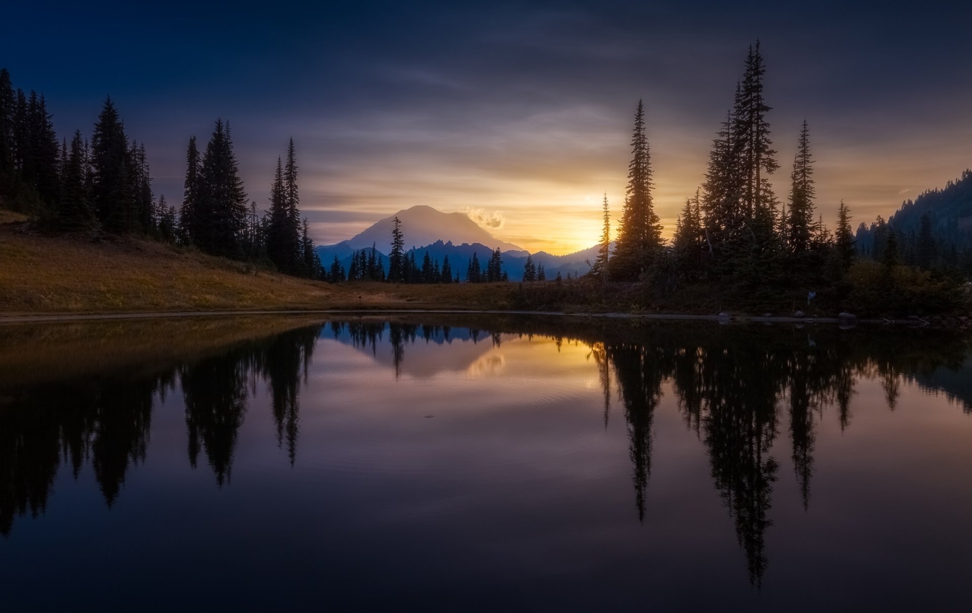 Download Tree Sunrise Nature Reflection HD Wallpaper