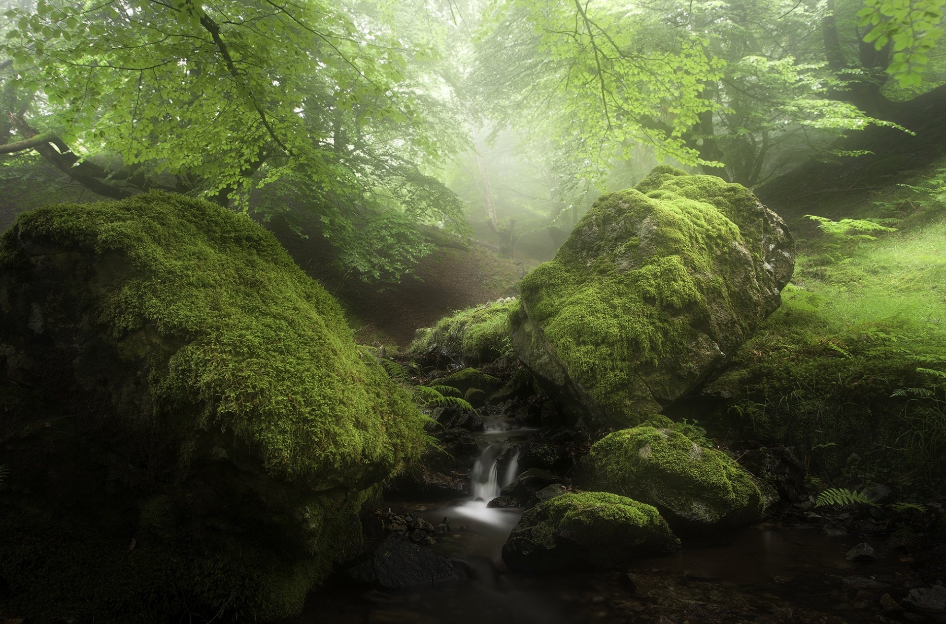 Mystic Mossy Stream in Fog – HD Nature Wallpaper