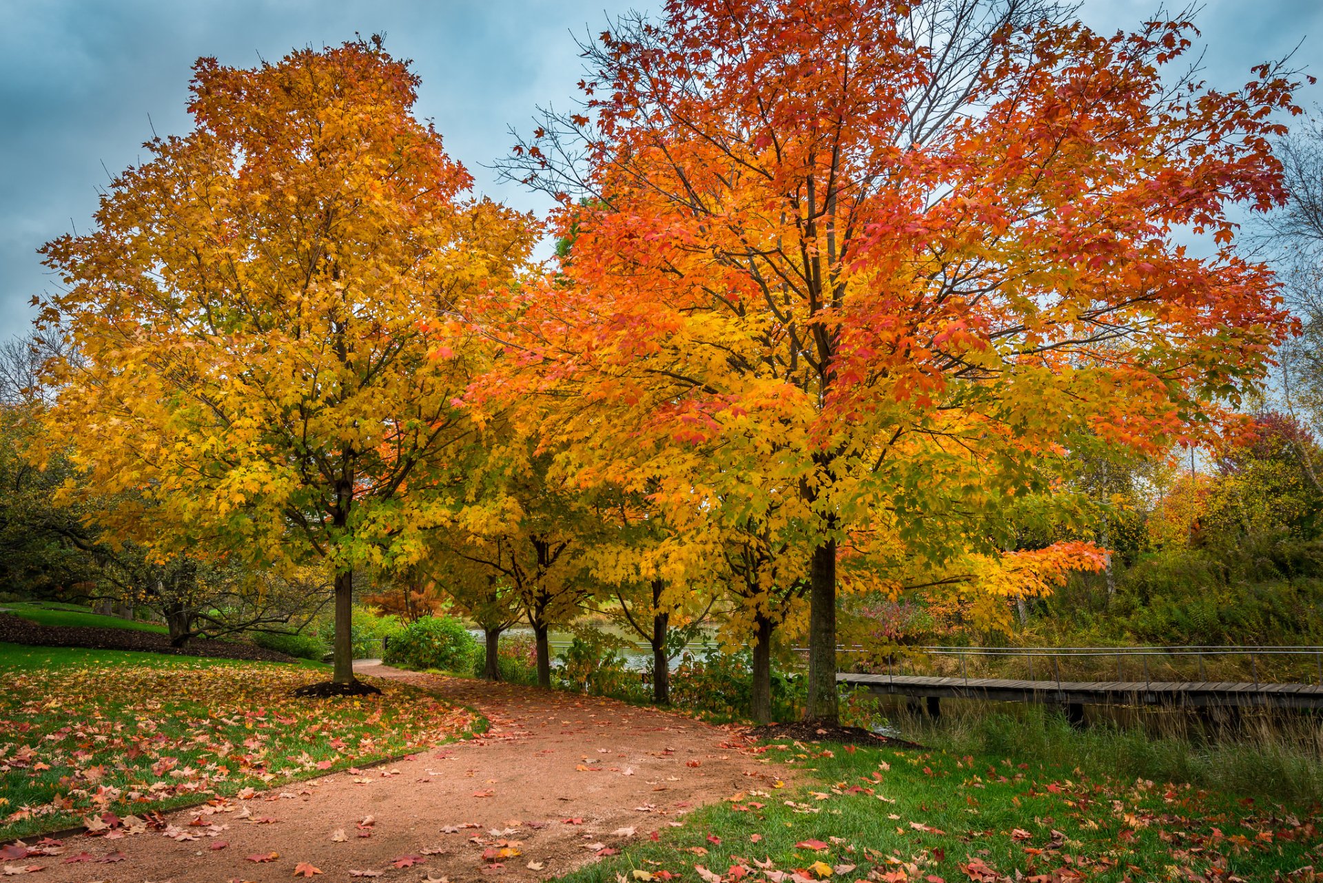Autumn Park Photography — HD Fall Tree Wallpaper | 2048x1367 ...