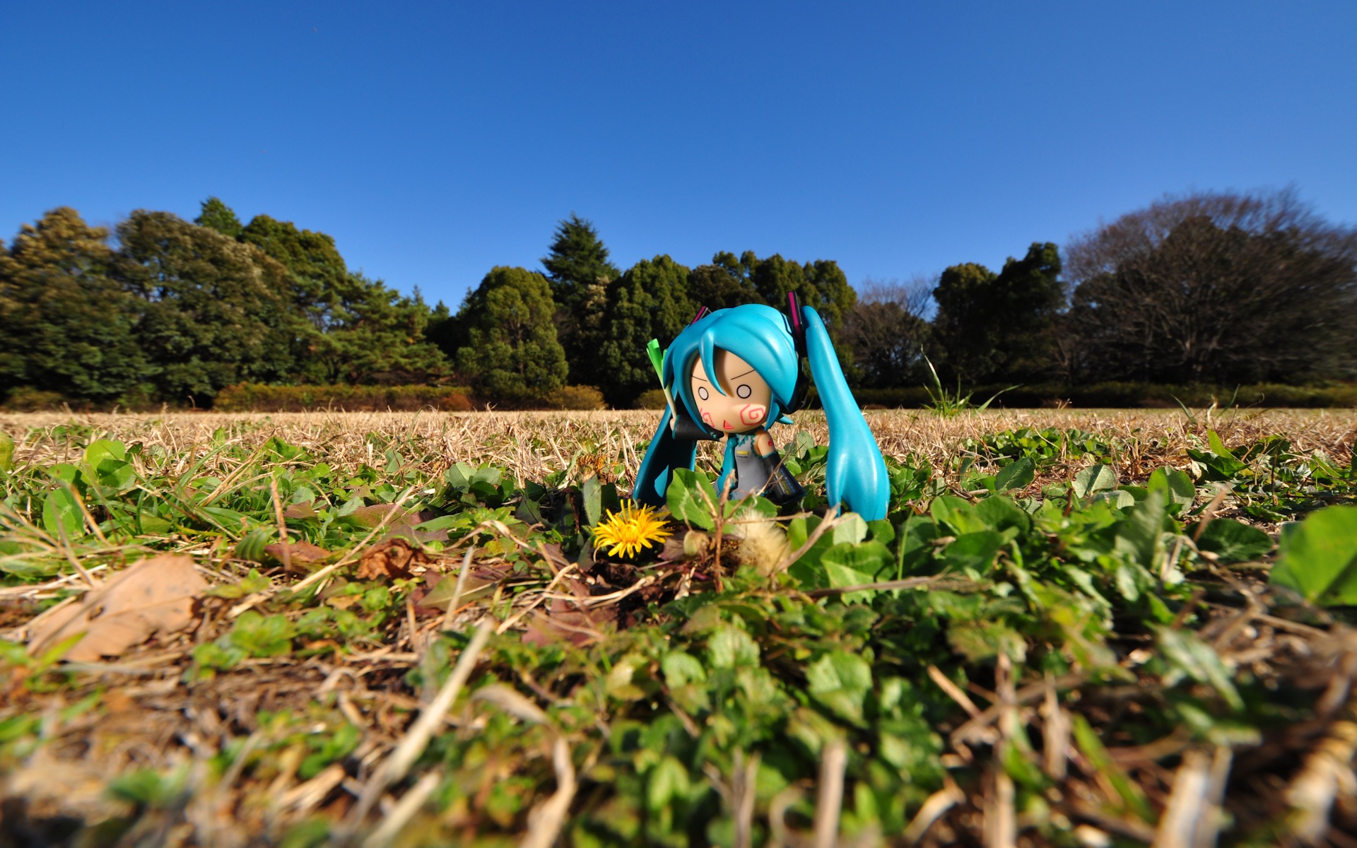 Download Hatsune Miku Anime Vocaloid HD Wallpaper