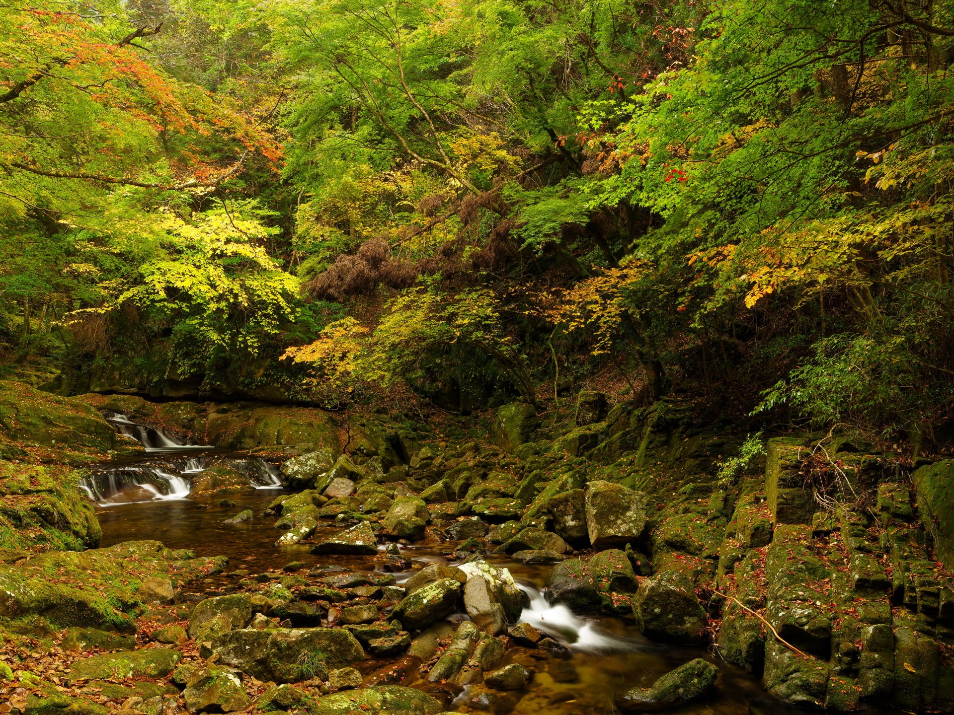 Download Nature Stream 4k Ultra HD Wallpaper