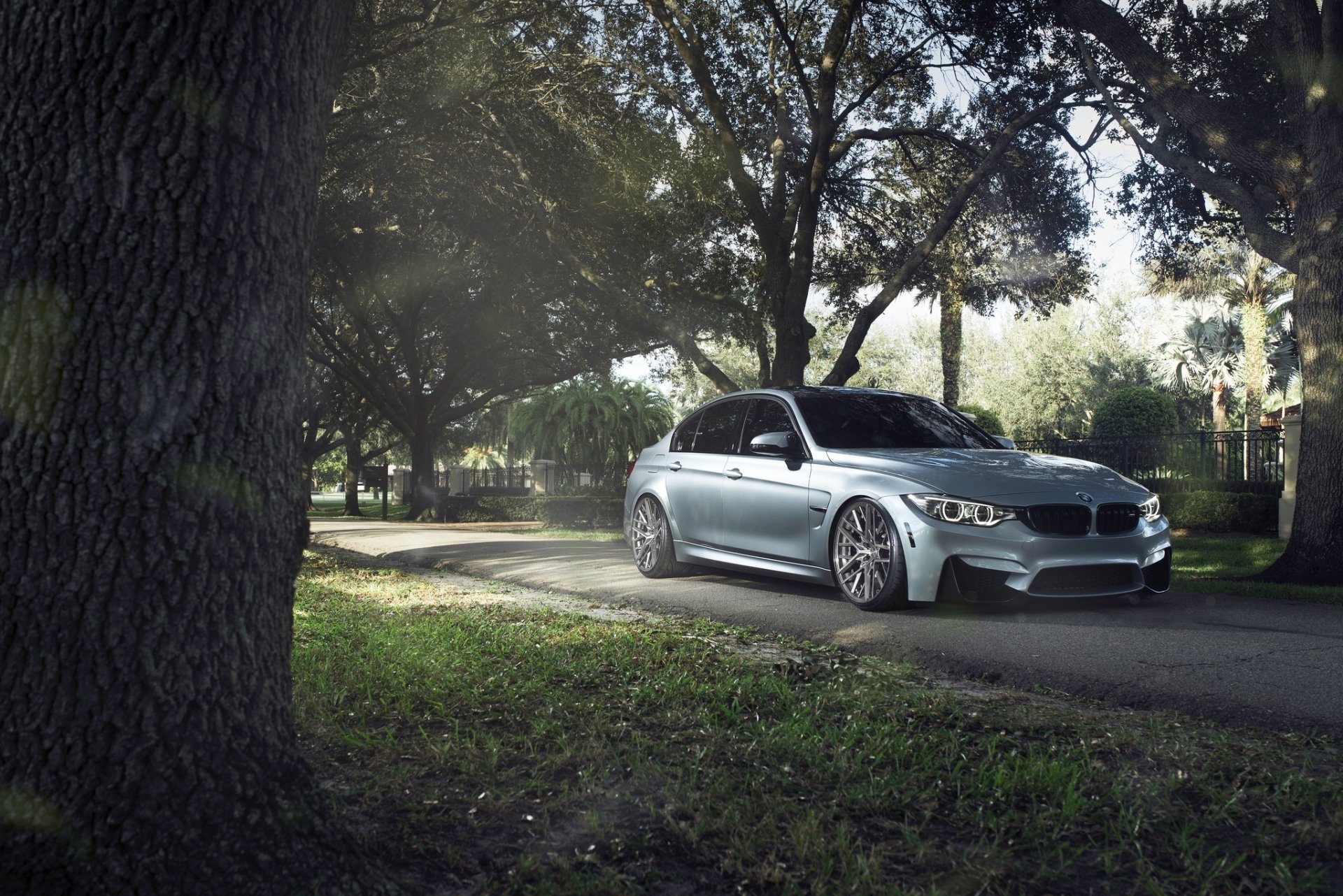 Silver BMW M3 - Stunning HD Car Wallpaper in Natural Light | 2048x1367 ...