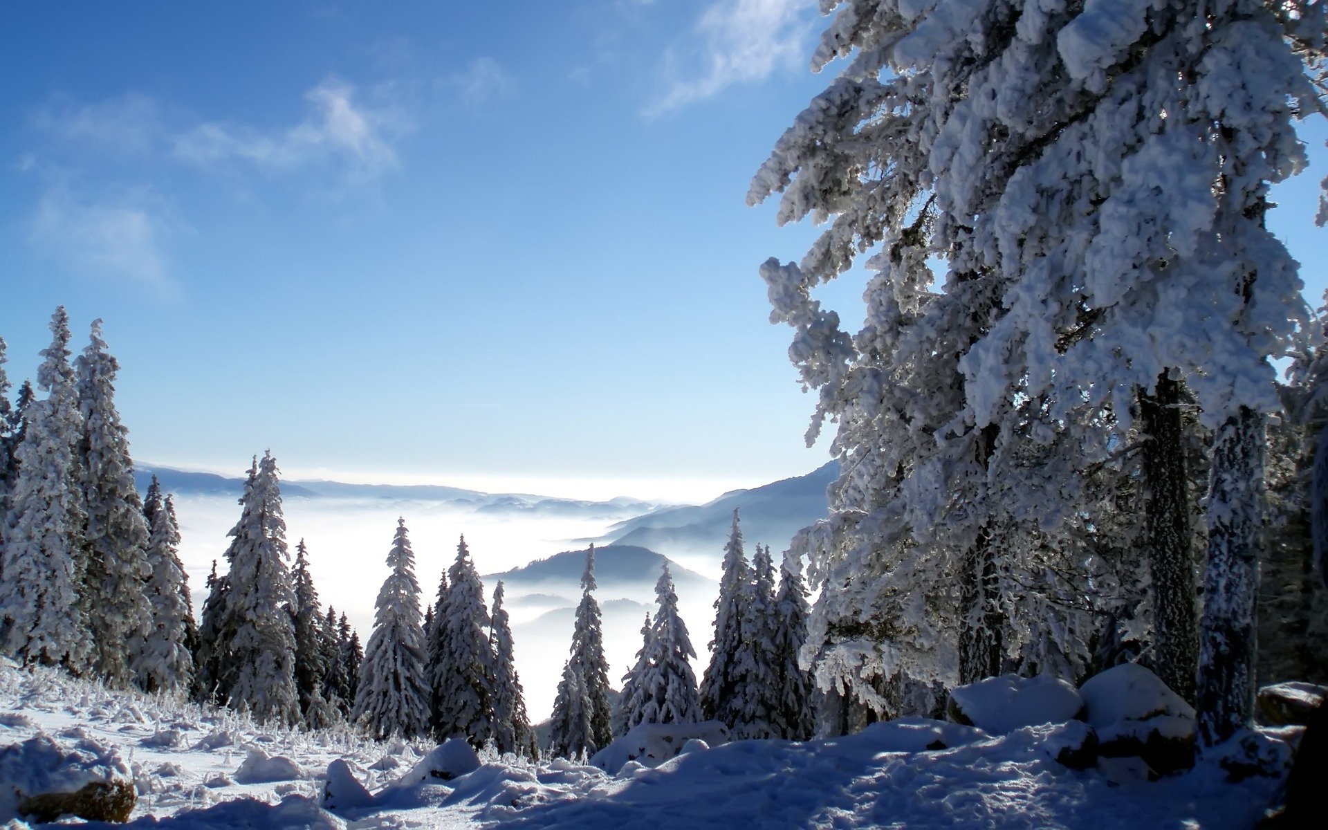Download Snow Mountain Tree Cold Sky Cloud Cliff Scenic Landscape ...