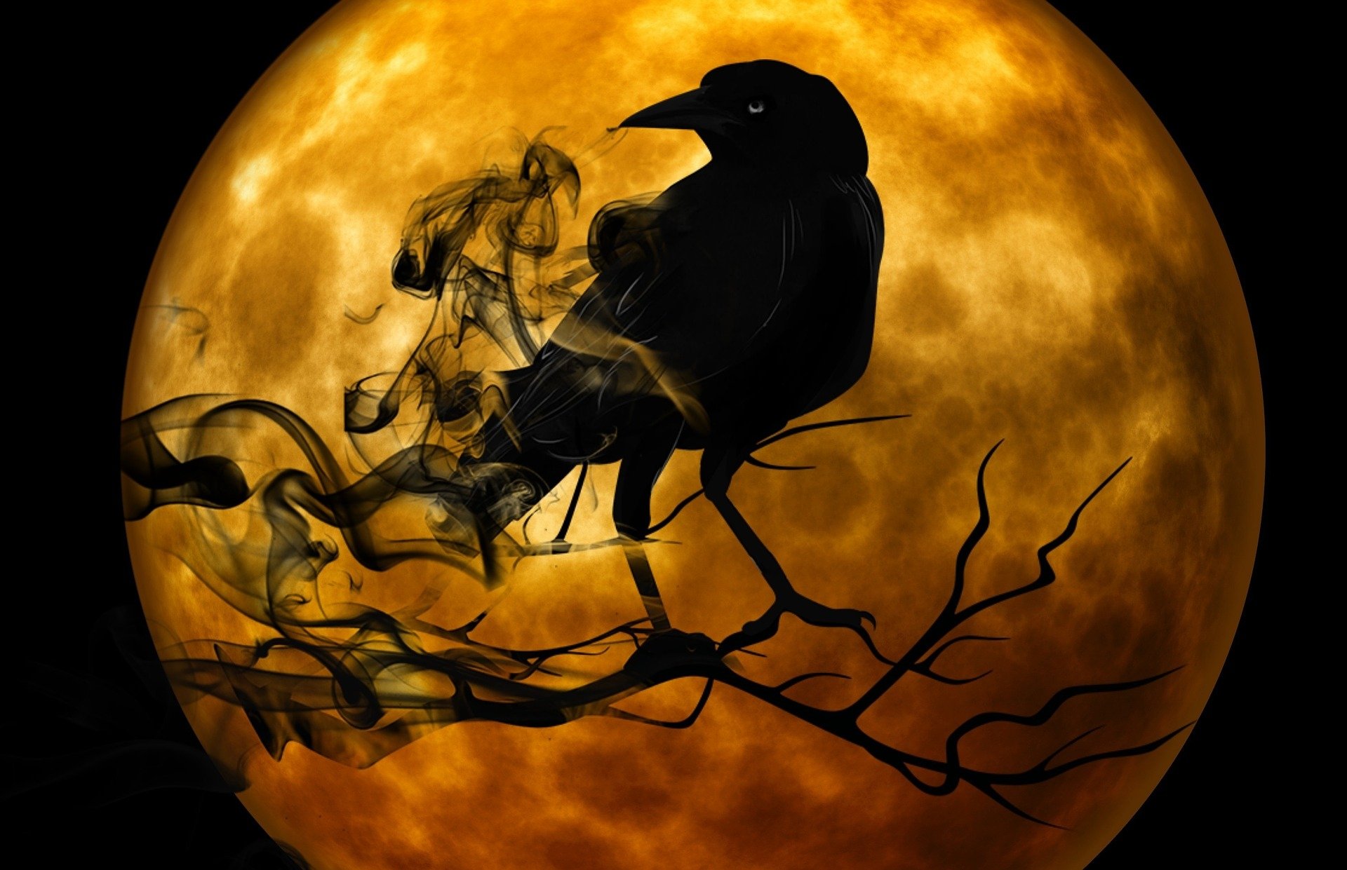 Midnight Raven: Silhouette Against a Glowing Moon – HD Animal Wallpaper