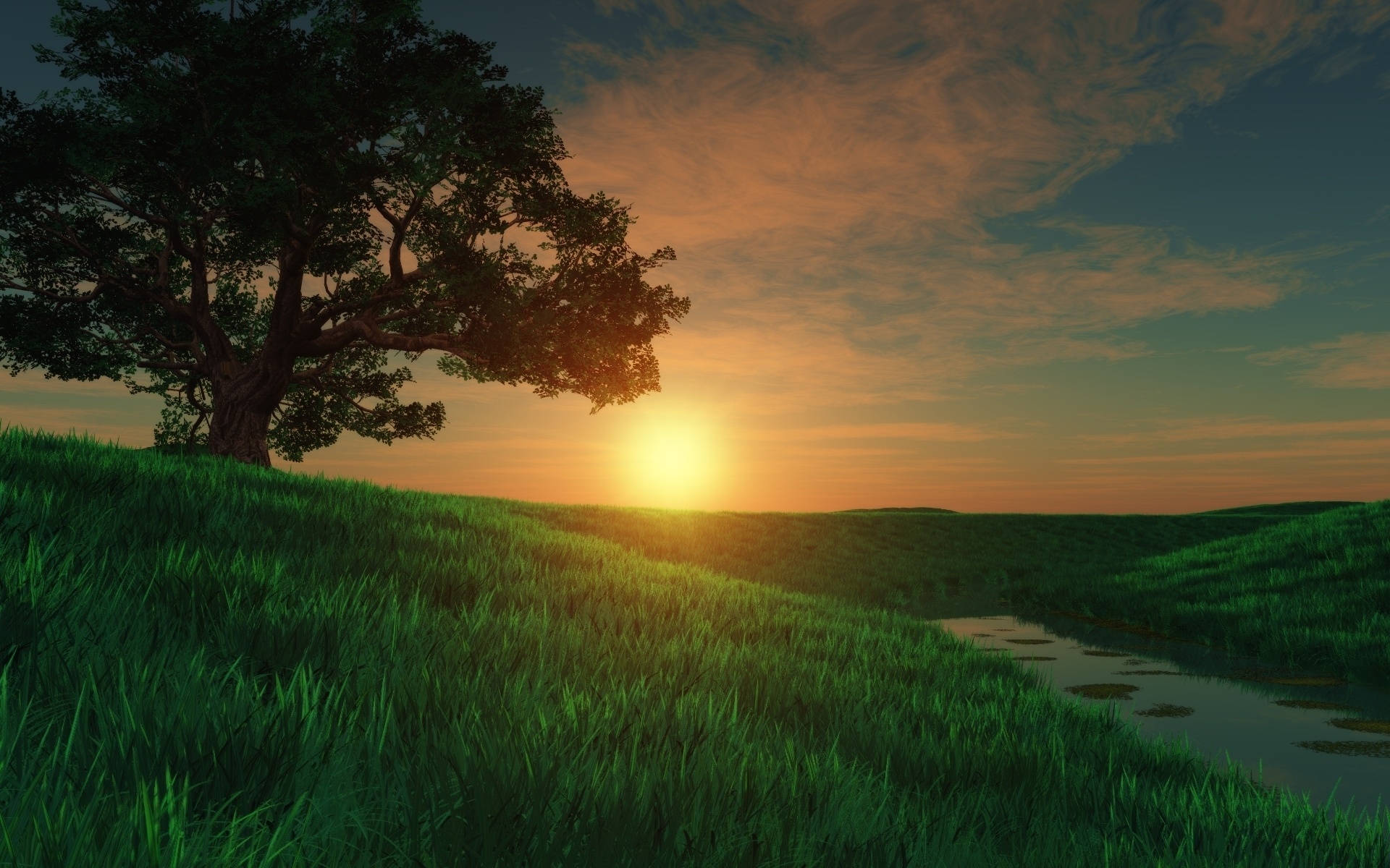 Trees Sunrise Wallpaper