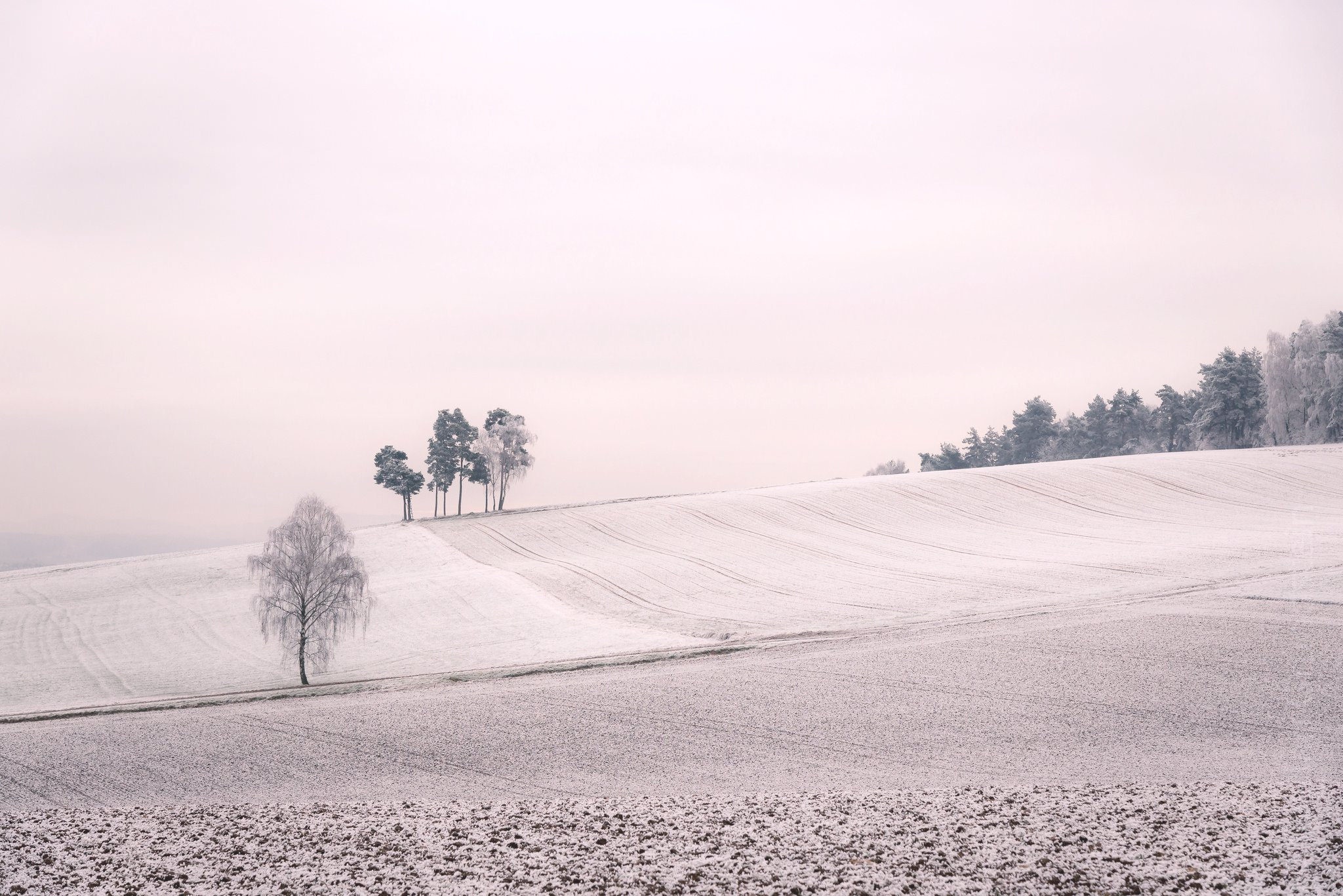 Download Winter Nature Field HD Wallpaper