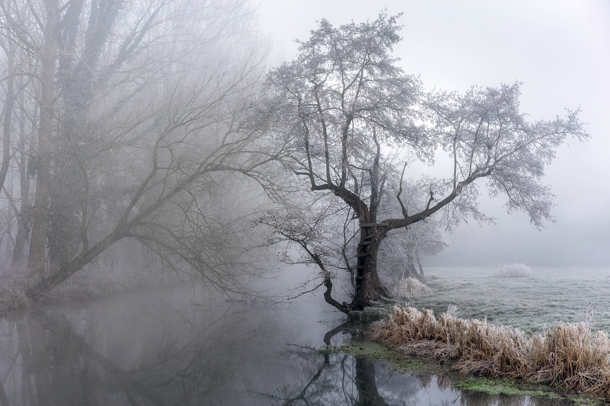 Breathtaking Fog Wallpapers
