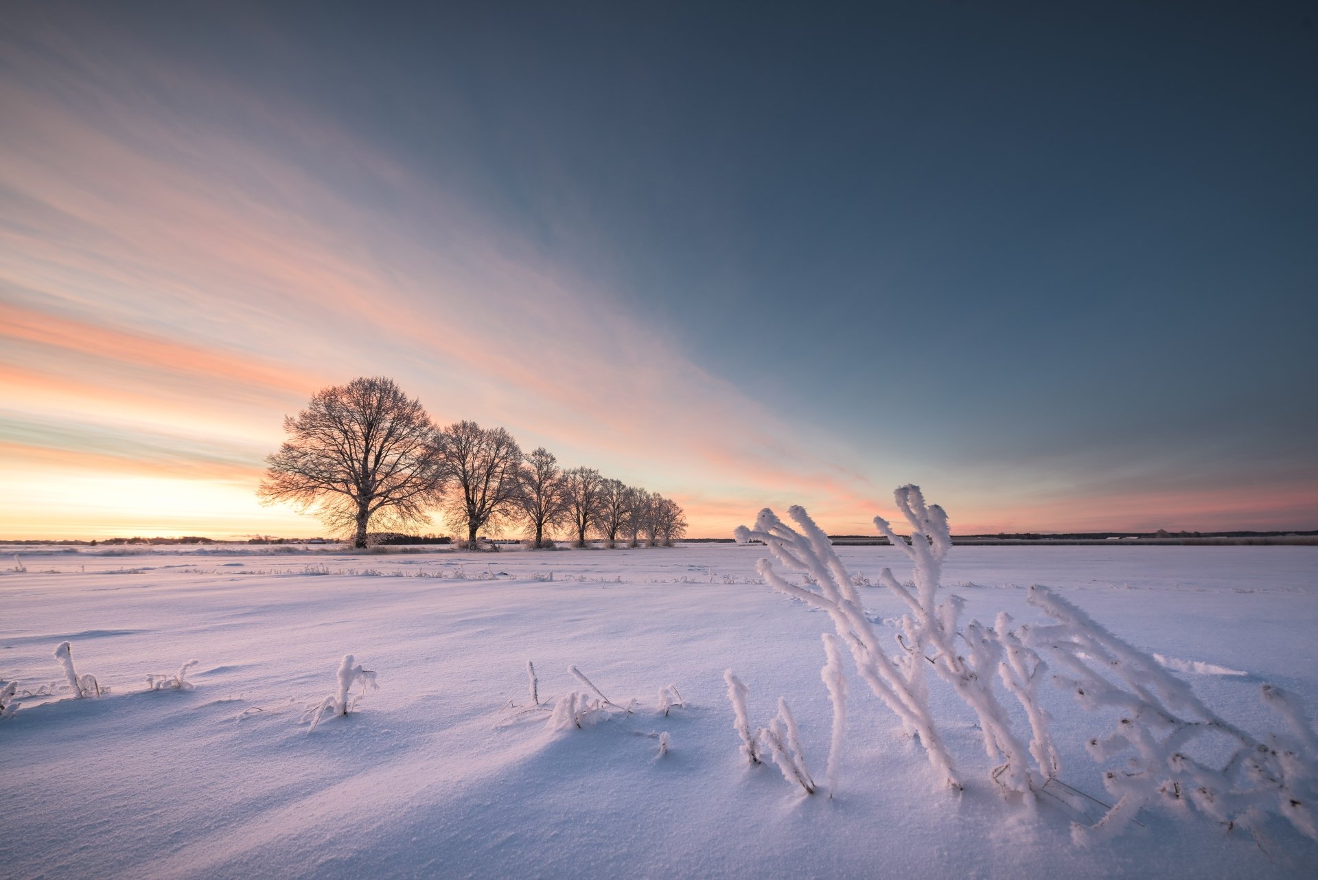 Winter Horizon: 4K Ultra HD Snowy Tree-Lined Skyscape | 6016x4016 ...