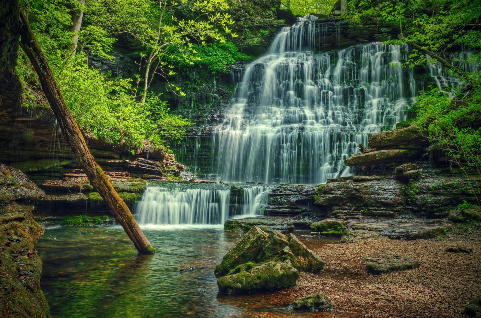 Download Green Tree Log Forest Nature Waterfall HD Wallpaper by Aaron ...