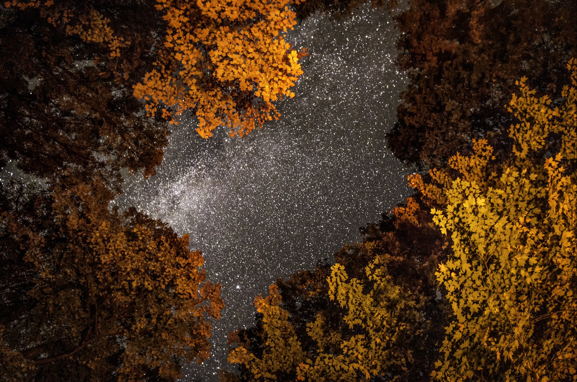 Autumn Nights Under a Starry Sky - HD Nature Wallpaper