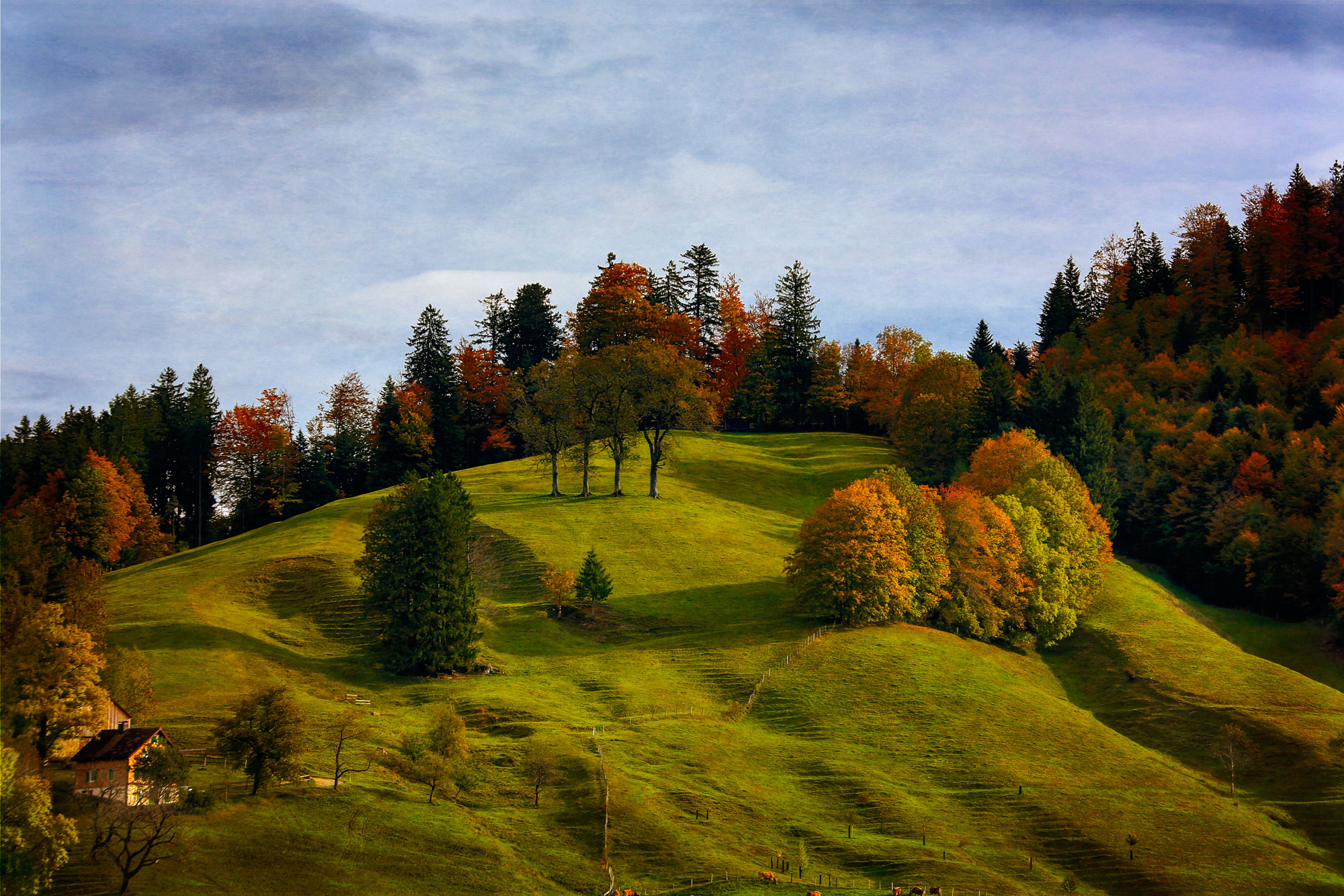 Autumn Hillside Retreat: Stunning HD Landscape Photography of Fall ...