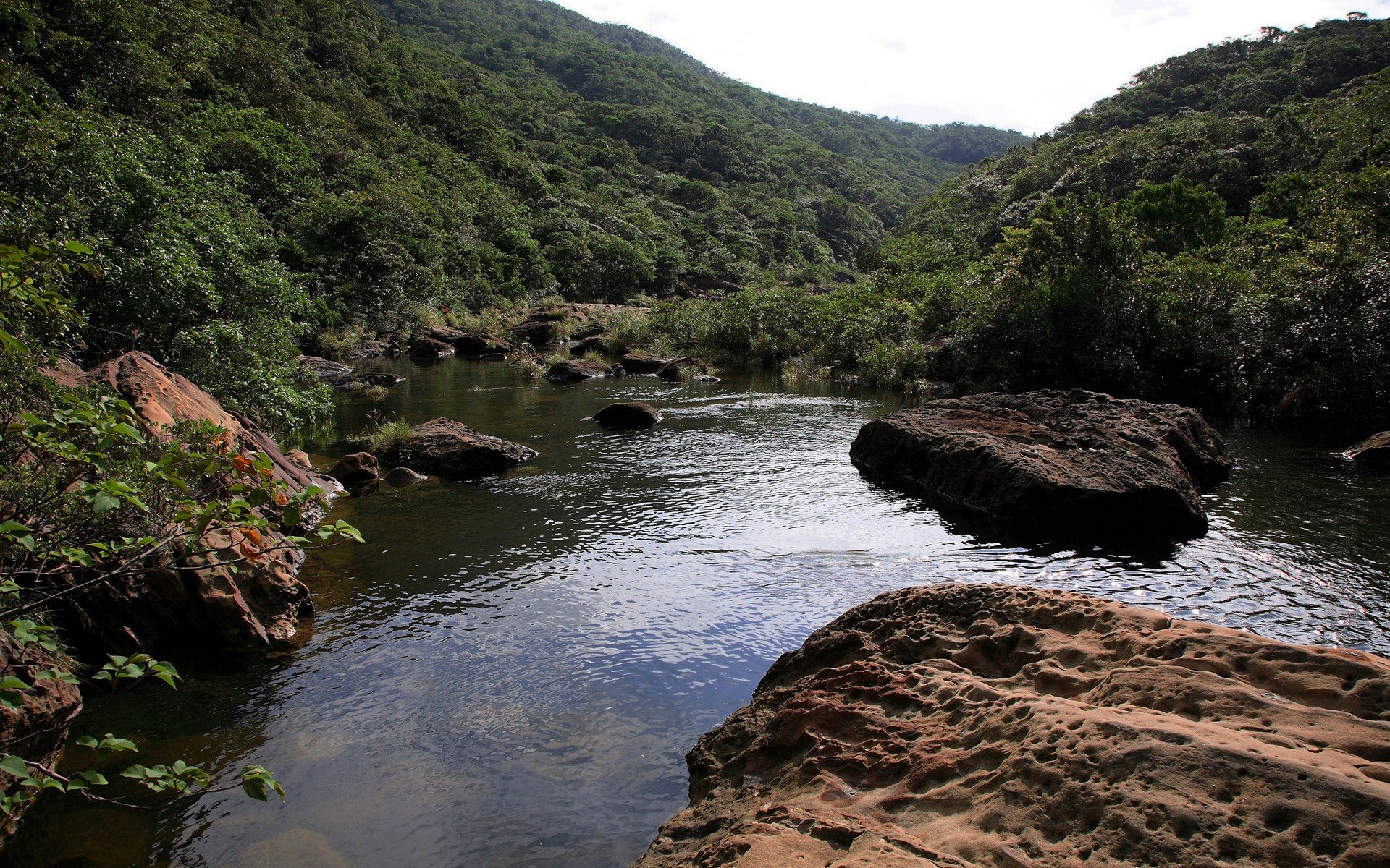 Serene Nature Waterscape HD Wallpaper | 1920x1200 | Wallpaper Abyss