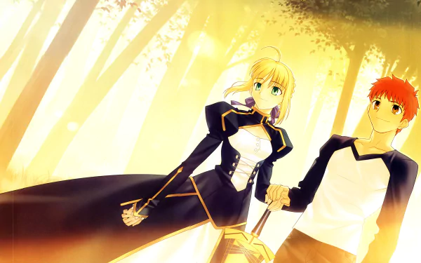 [90+] Fate/Stay Night 4k Wallpapers