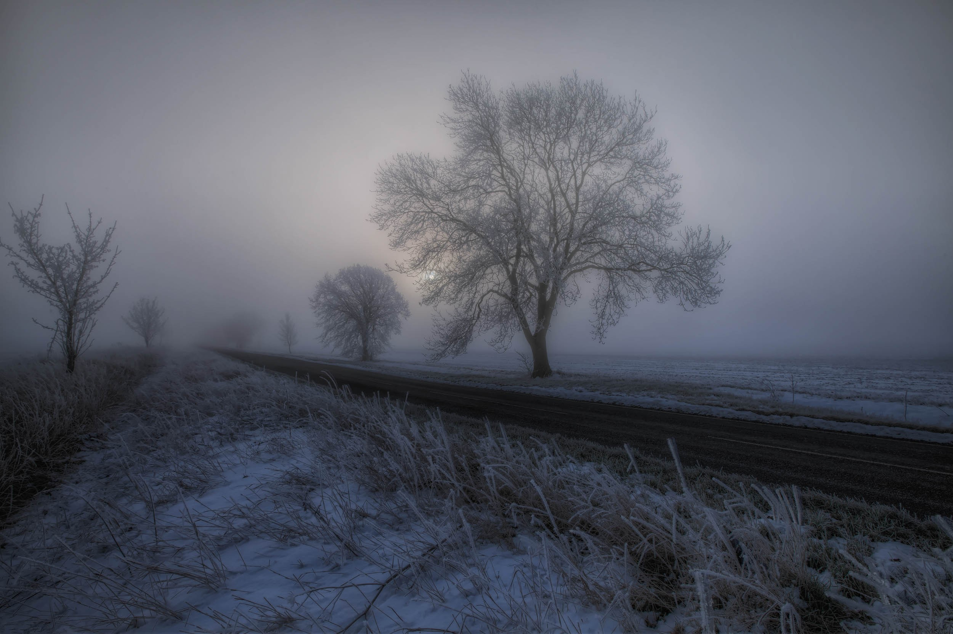 Wallpaper Snow Fog Winter