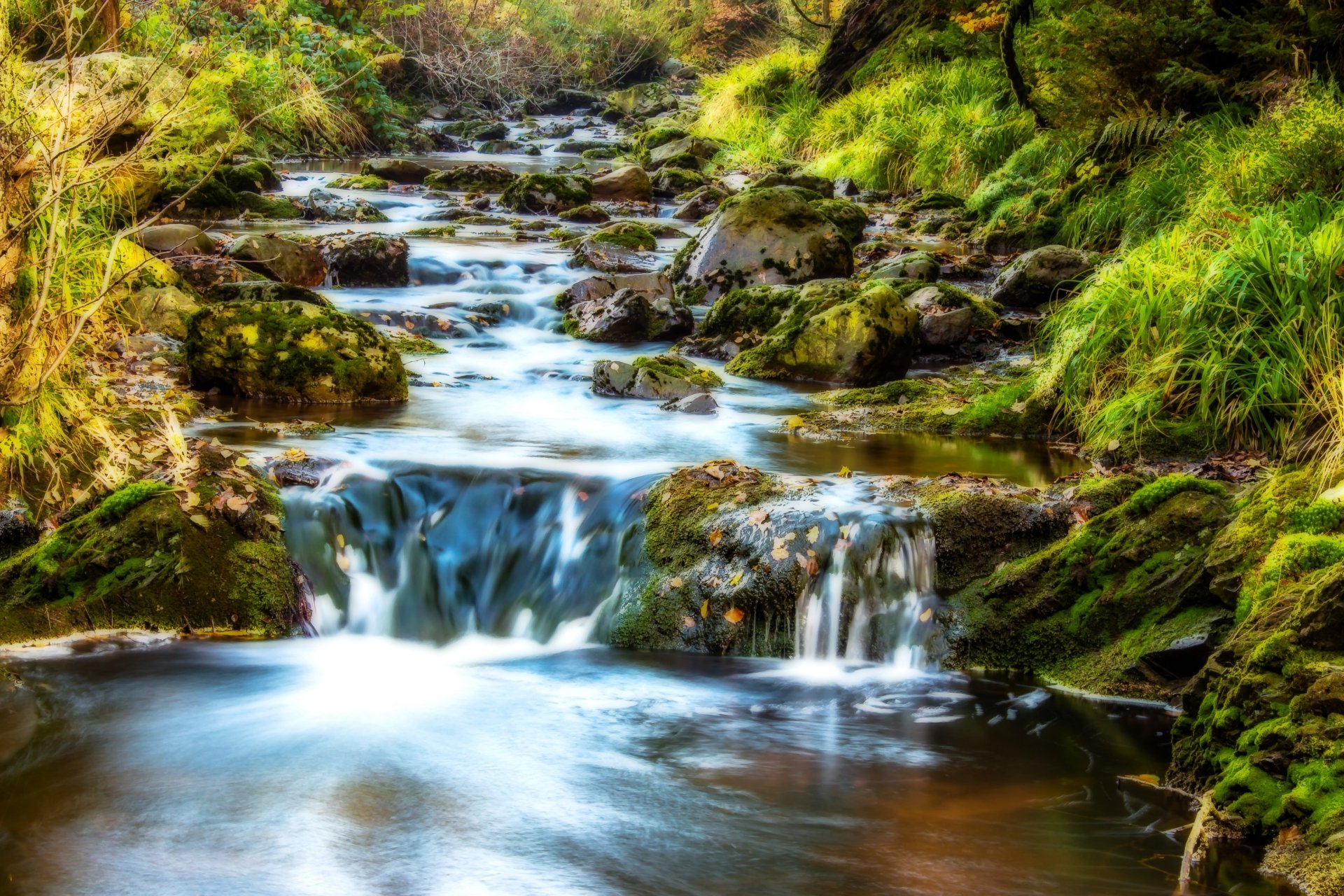 Download Foam Moss Nature Stream 4k Ultra HD Wallpaper | 5117x3411 ...