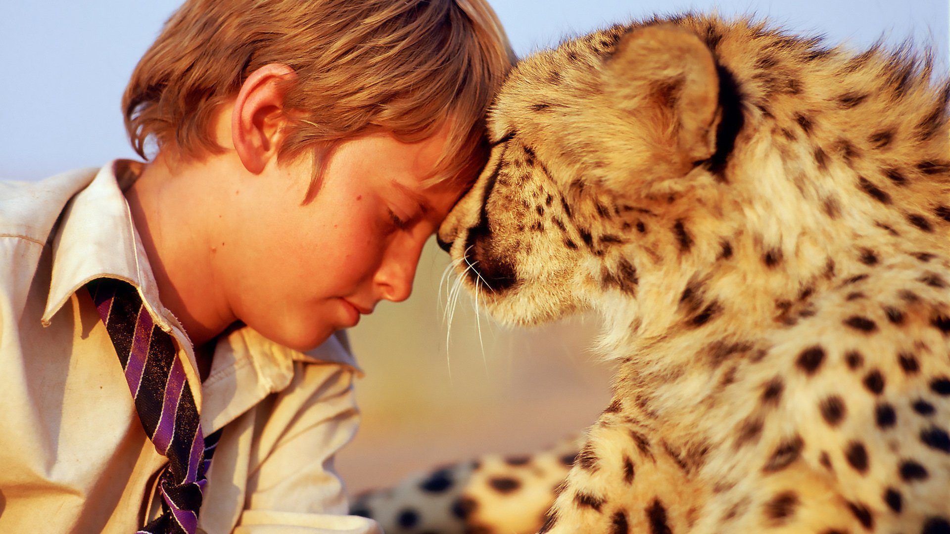 Download Movie Duma HD Wallpaper