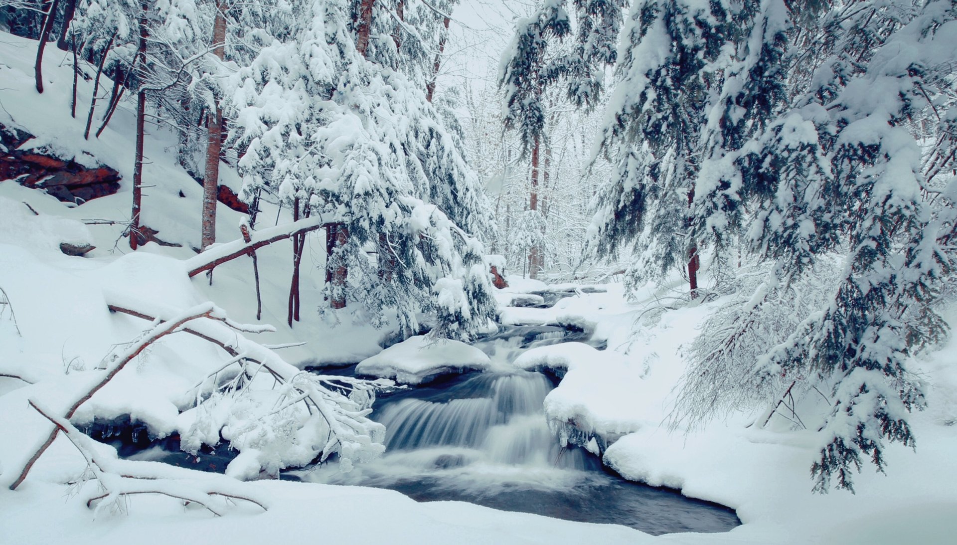 Download Snow Forest Winter Nature Stream HD Wallpaper