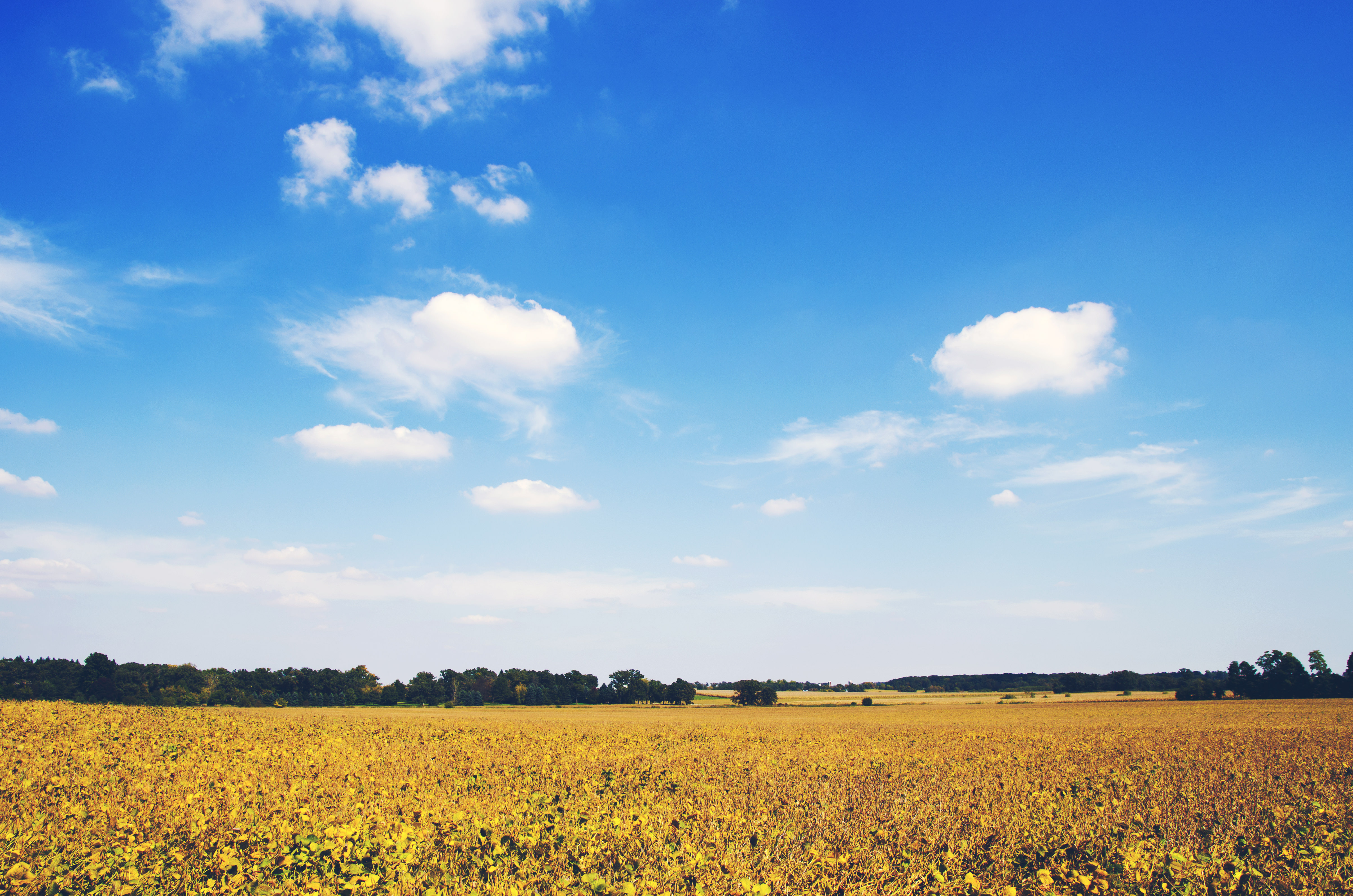 Download Cloud Sky Landscape Summer Nature Field 4k Ultra HD Wallpaper