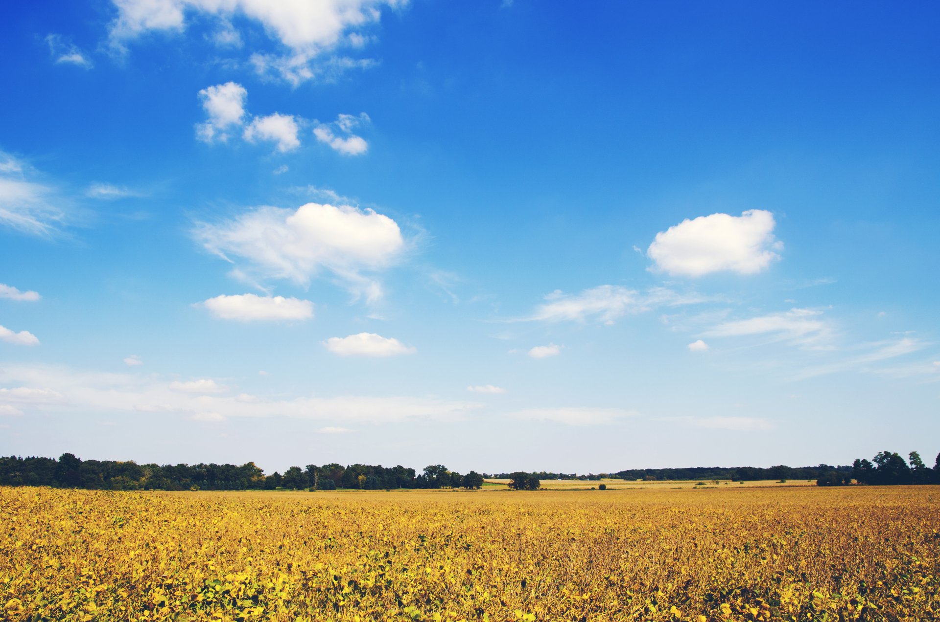 Download Cloud Sky Landscape Summer Nature Field 4k Ultra HD Wallpaper
