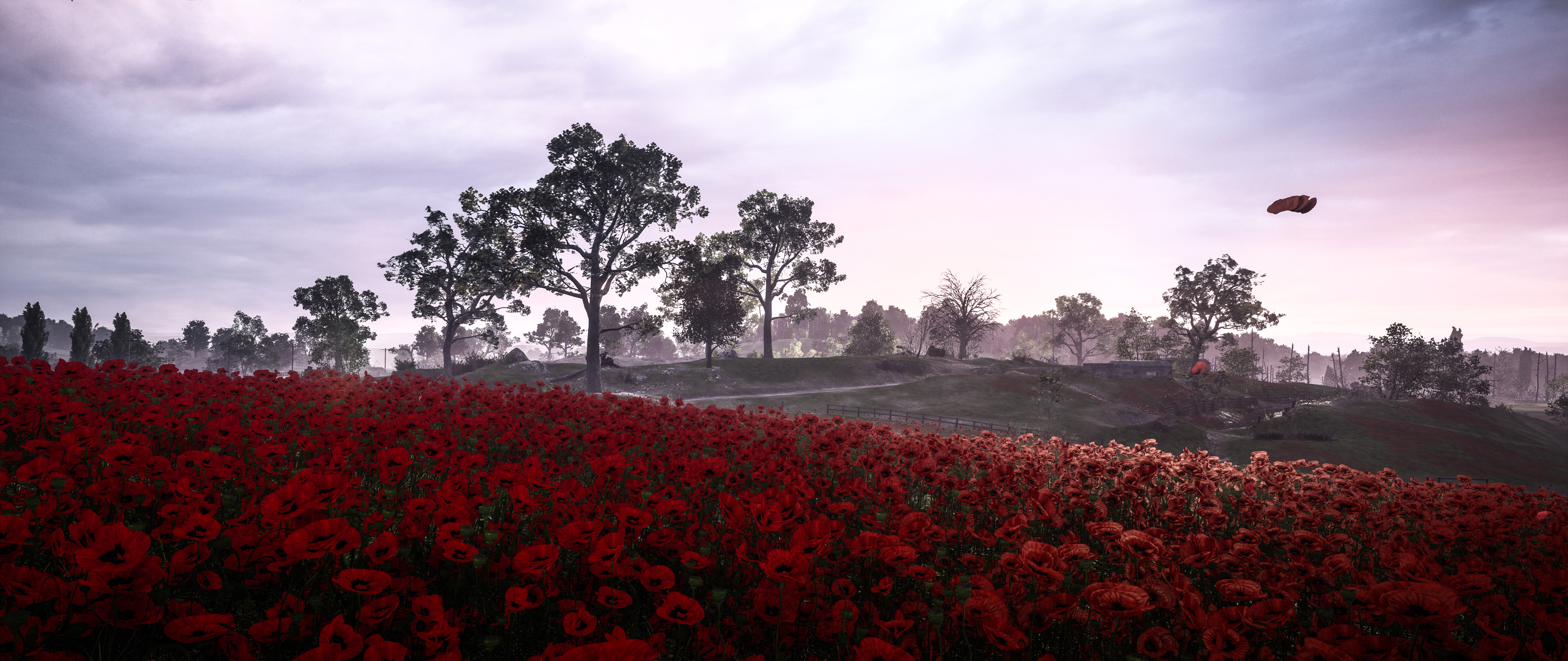 Battlefield 1 HD Wallpaper – Red Poppy Fields in Stunning War Landscape ...