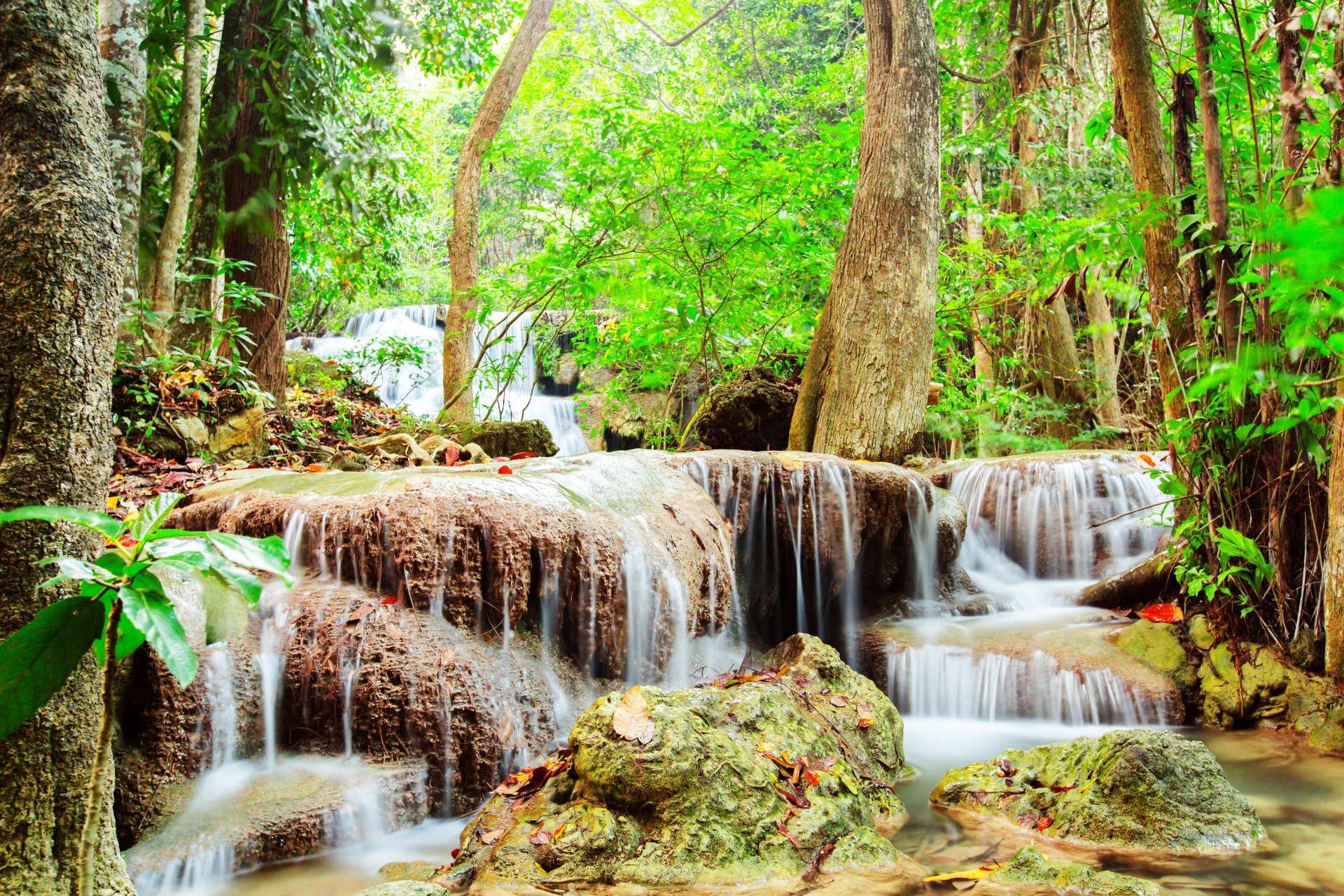 Download Forest Stream Nature Waterfall 4k Ultra HD Wallpaper