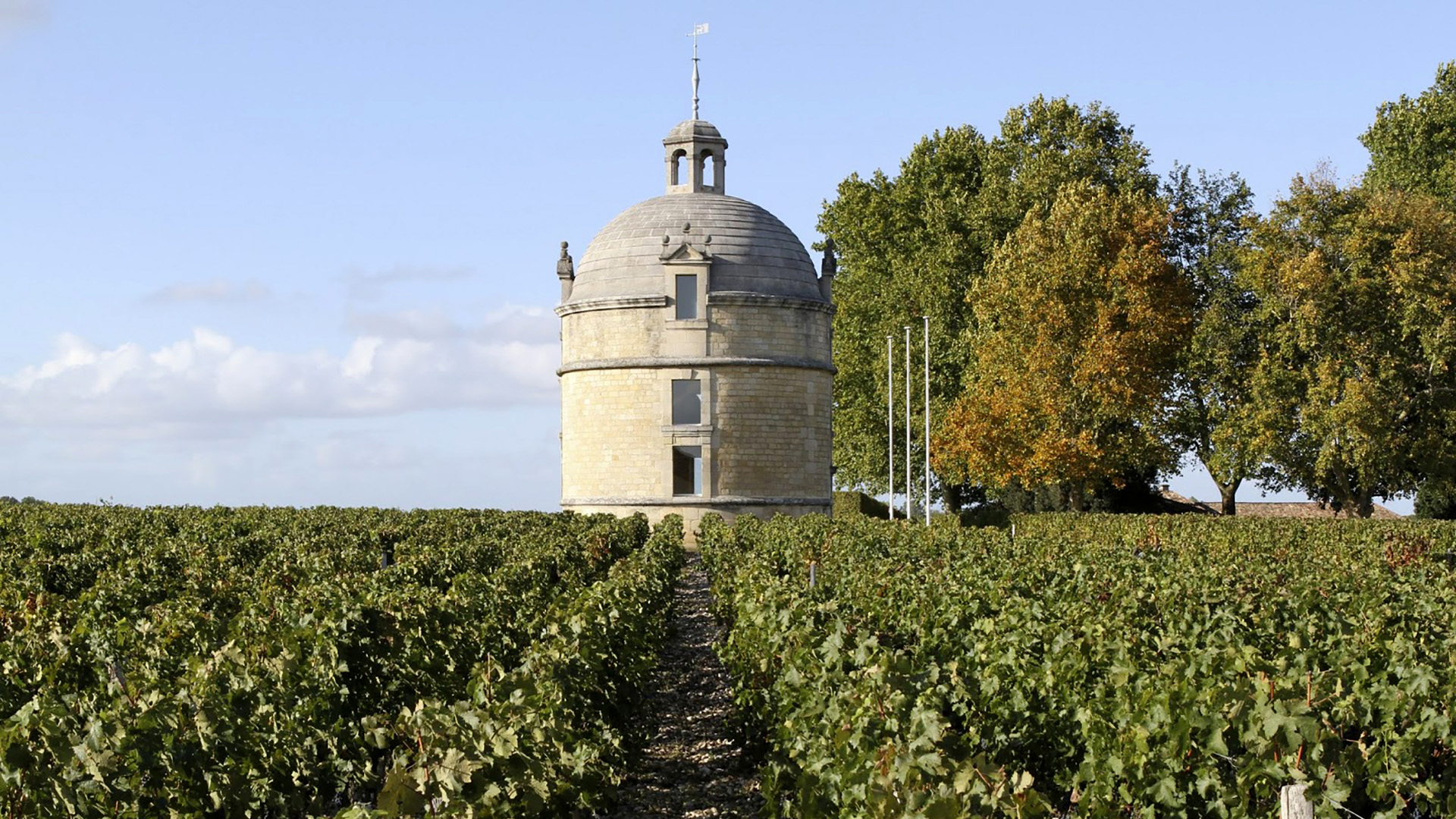 Movie Red Obsession HD Wallpaper