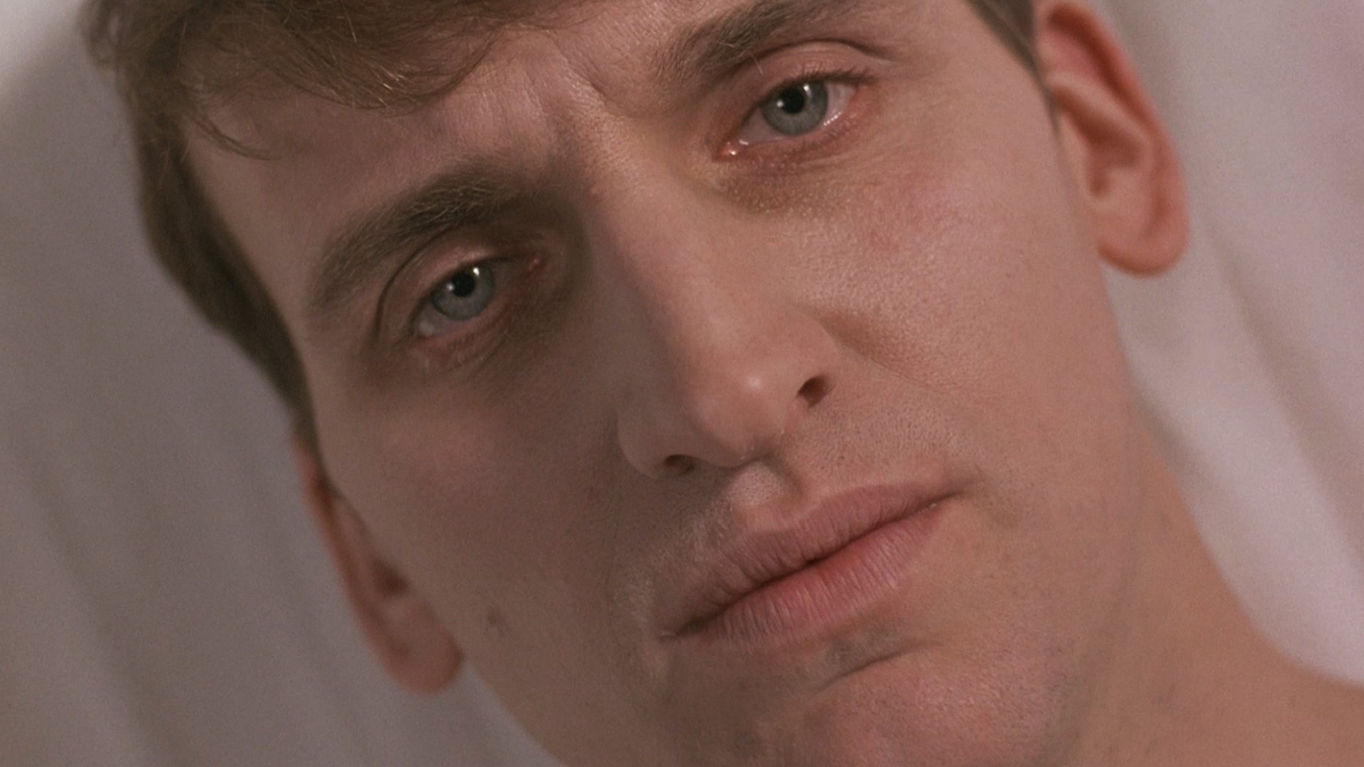 Download Movie Shallow Grave HD Wallpaper