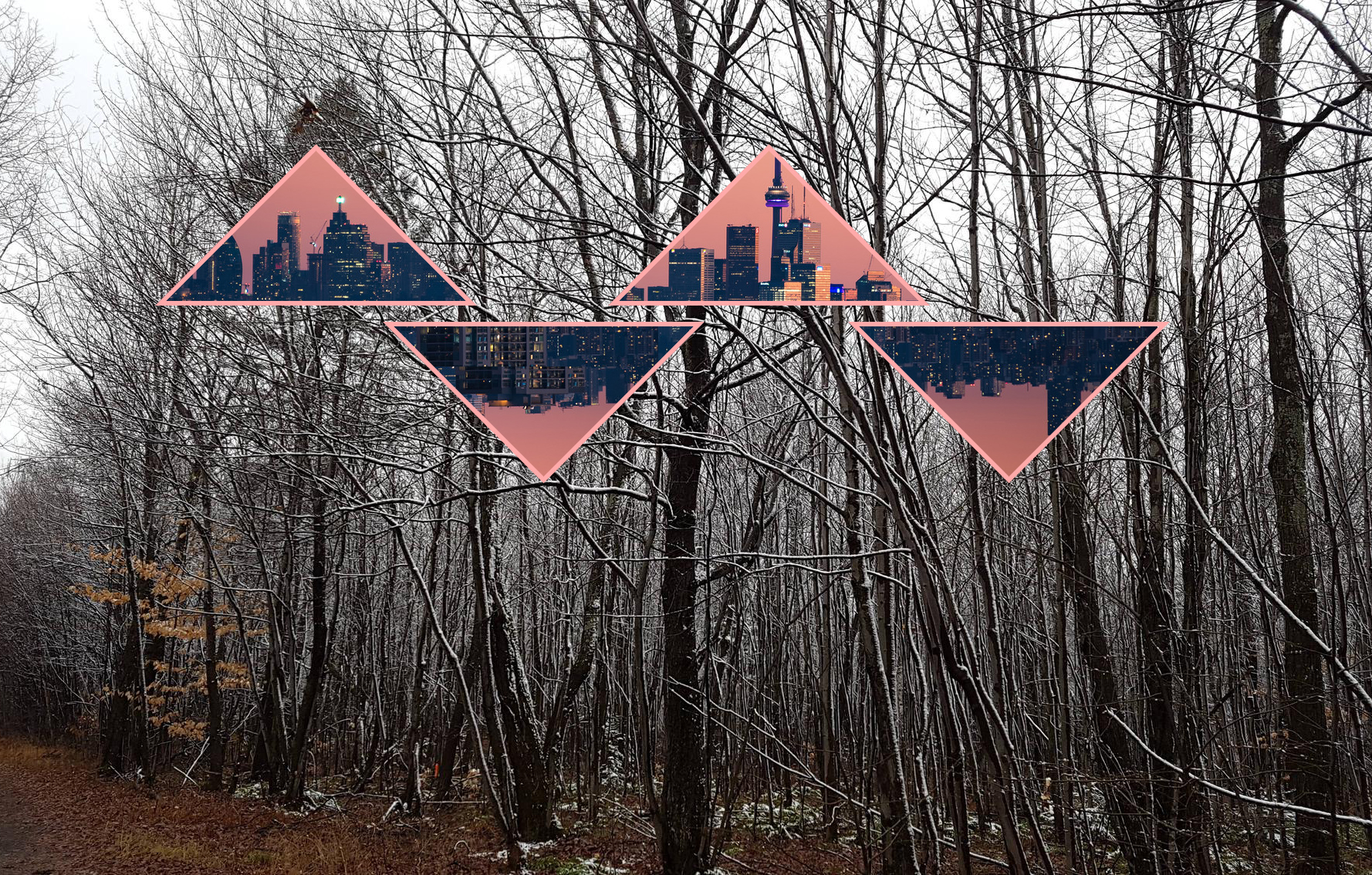 Download Winter Pink Skyline Tree Artistic Polyscape Wallpaper