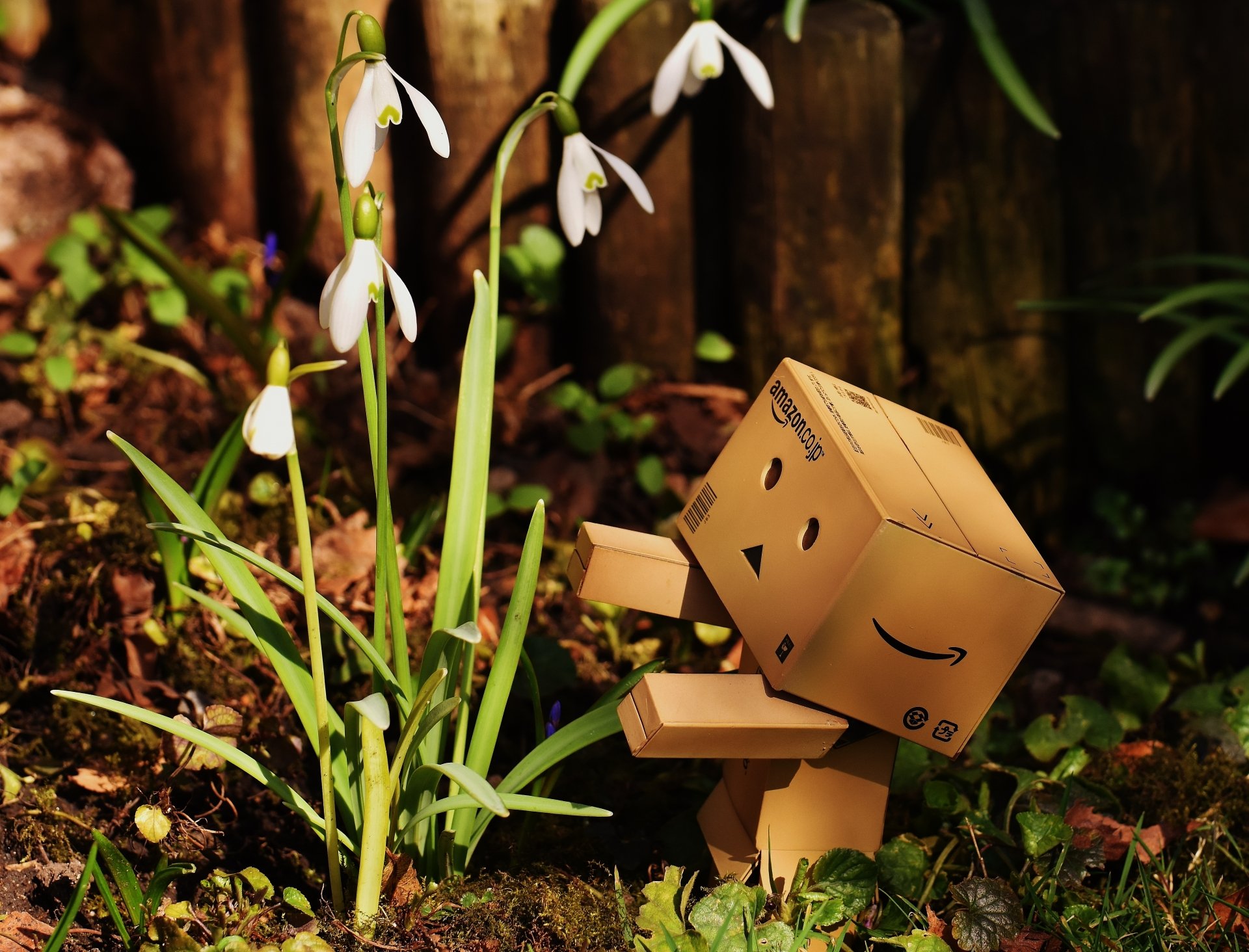 Cute Amazon Box Robot Wallpaper