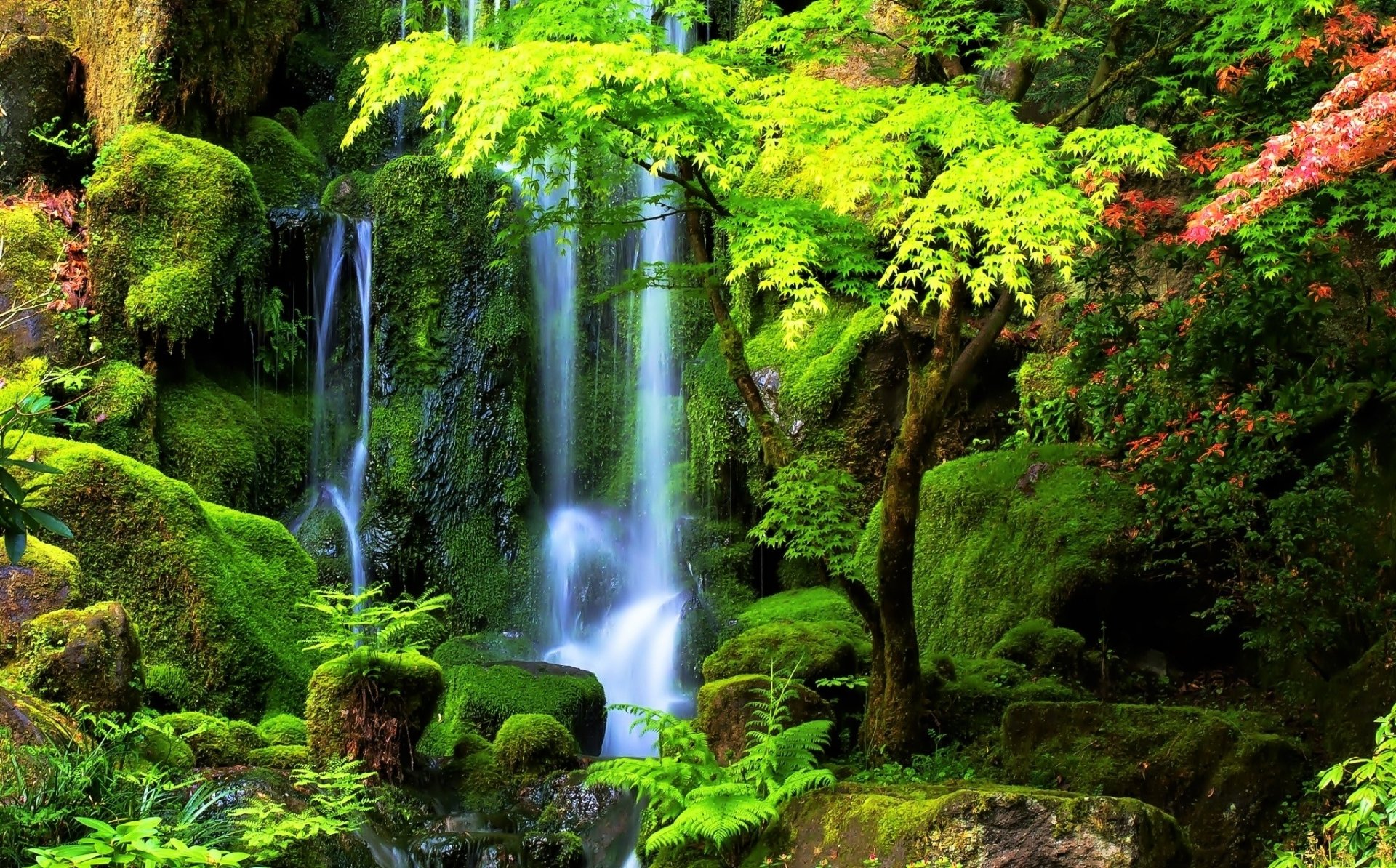 Enchanted Fall Forest Waterfall HD Wallpaper: Mossy Trees in Nature's ...