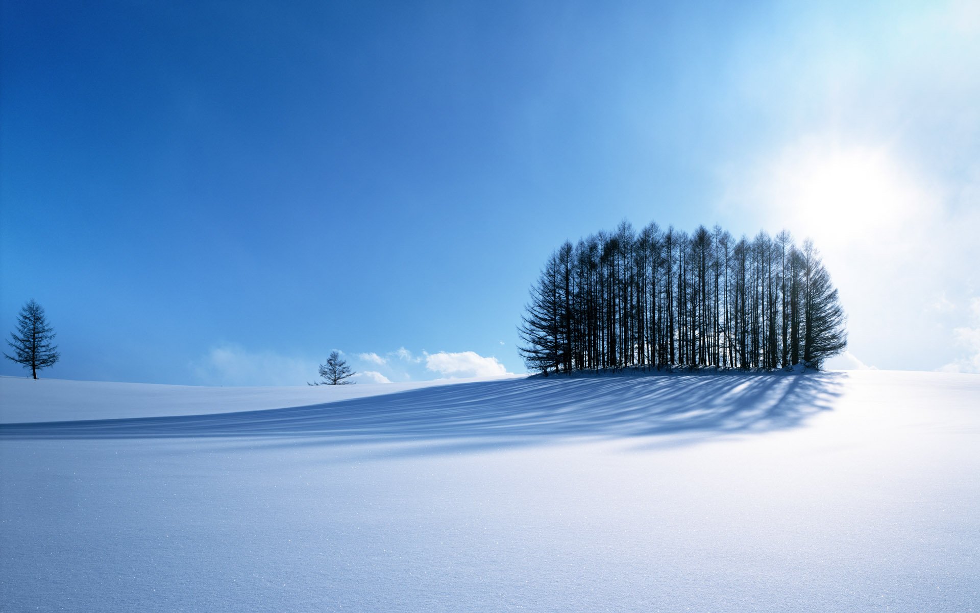Download Snow Landscape Nature Winter HD Wallpaper