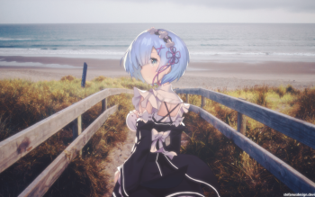 Download Rem (Re:ZERO) Anime Re:Zero - Starting Life In Another World PFP