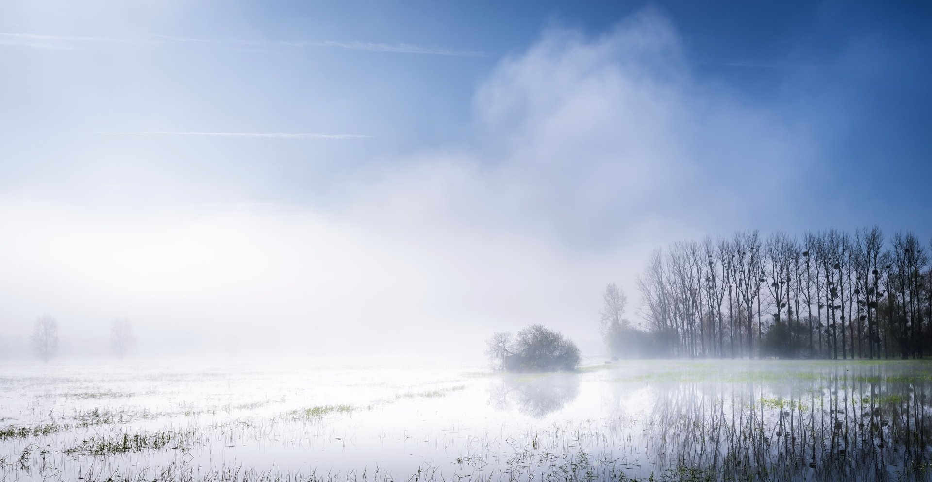 Download Swamp Nature Fog HD Wallpaper by Bertrand Thiéfaine