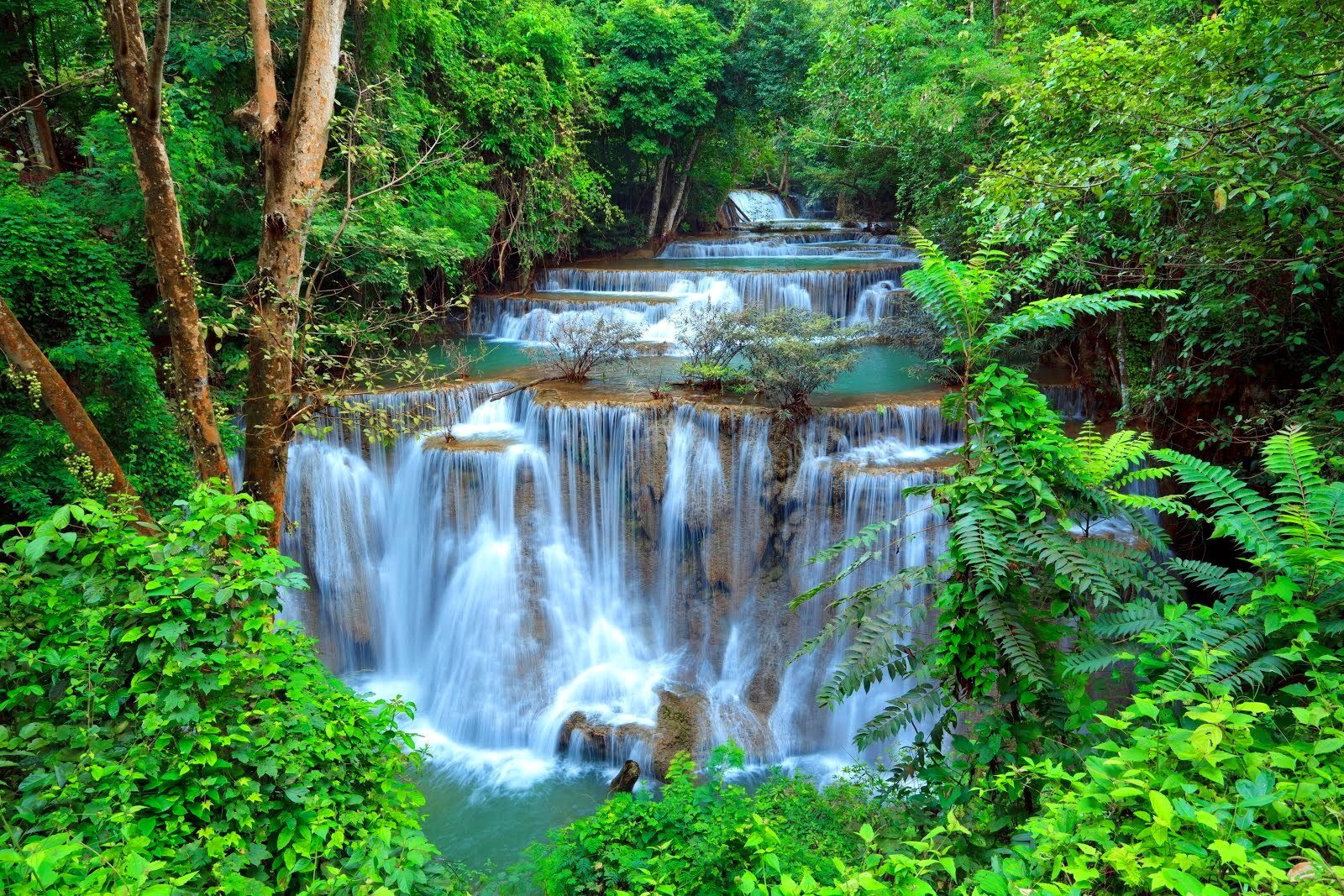Tranquil Green Forest Waterfall HD Wallpaper