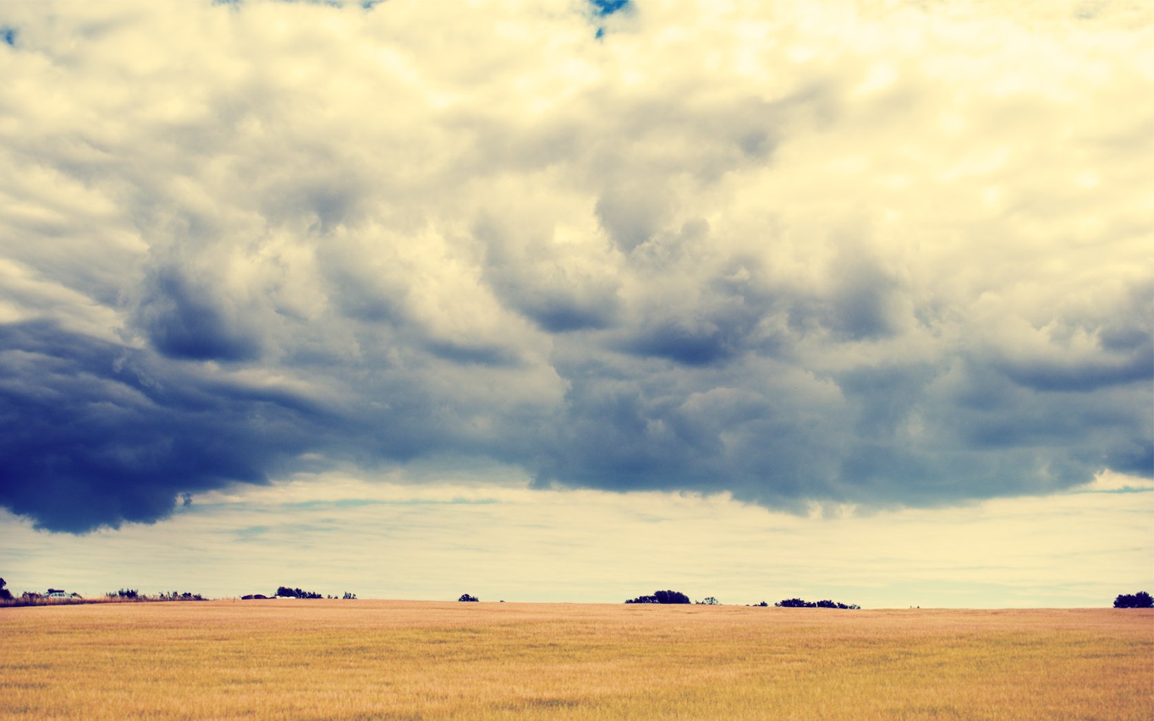 HD Nature Bliss: Expansive Field Under Majestic Cloudscape | 1680x1050 ...