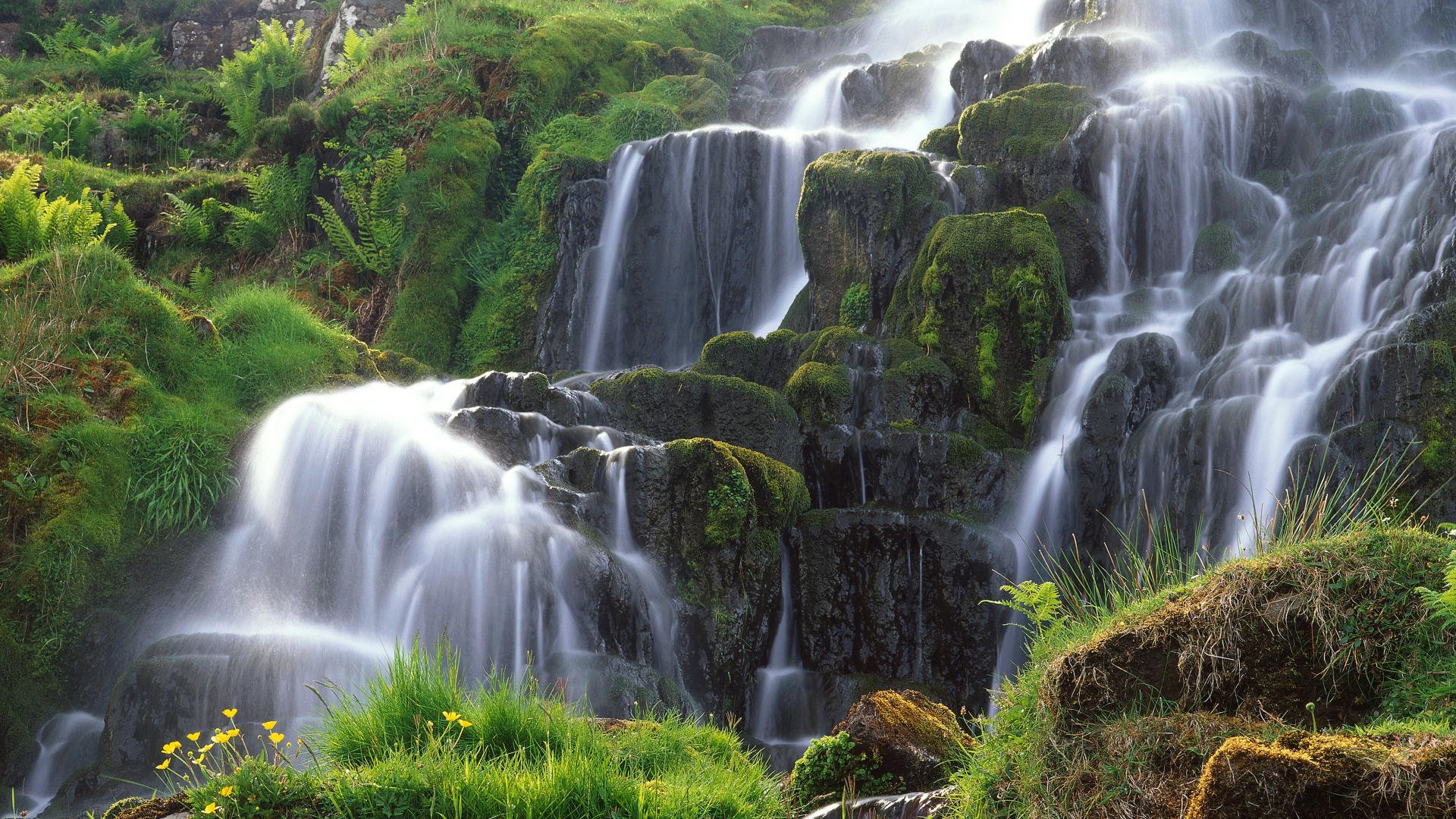 Download Nature Waterfall HD Wallpaper