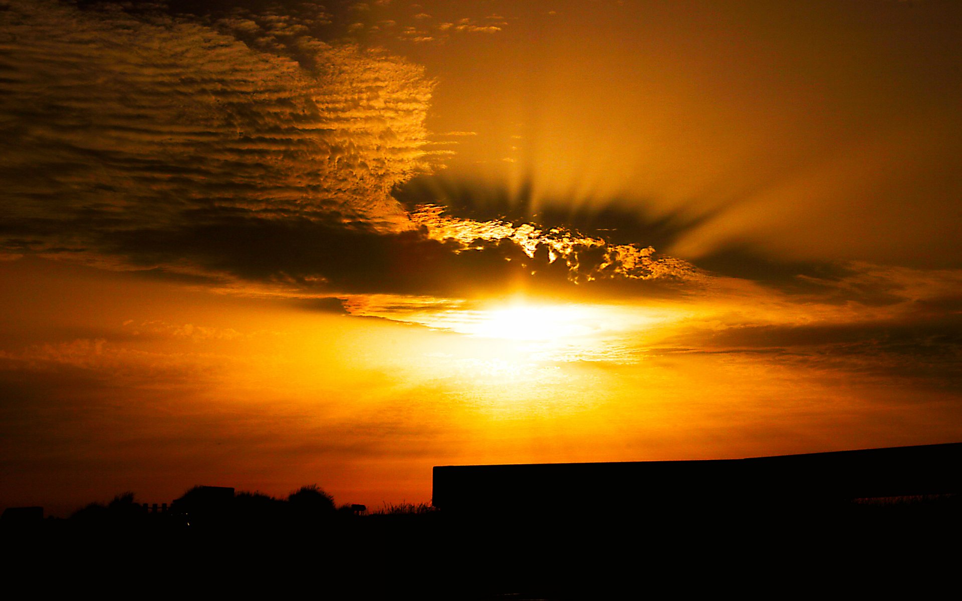 Download Nature Sunrise HD Wallpaper