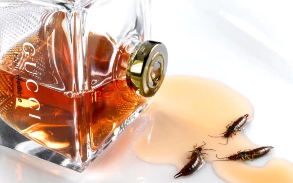 [10+] Gucci Wallpapers