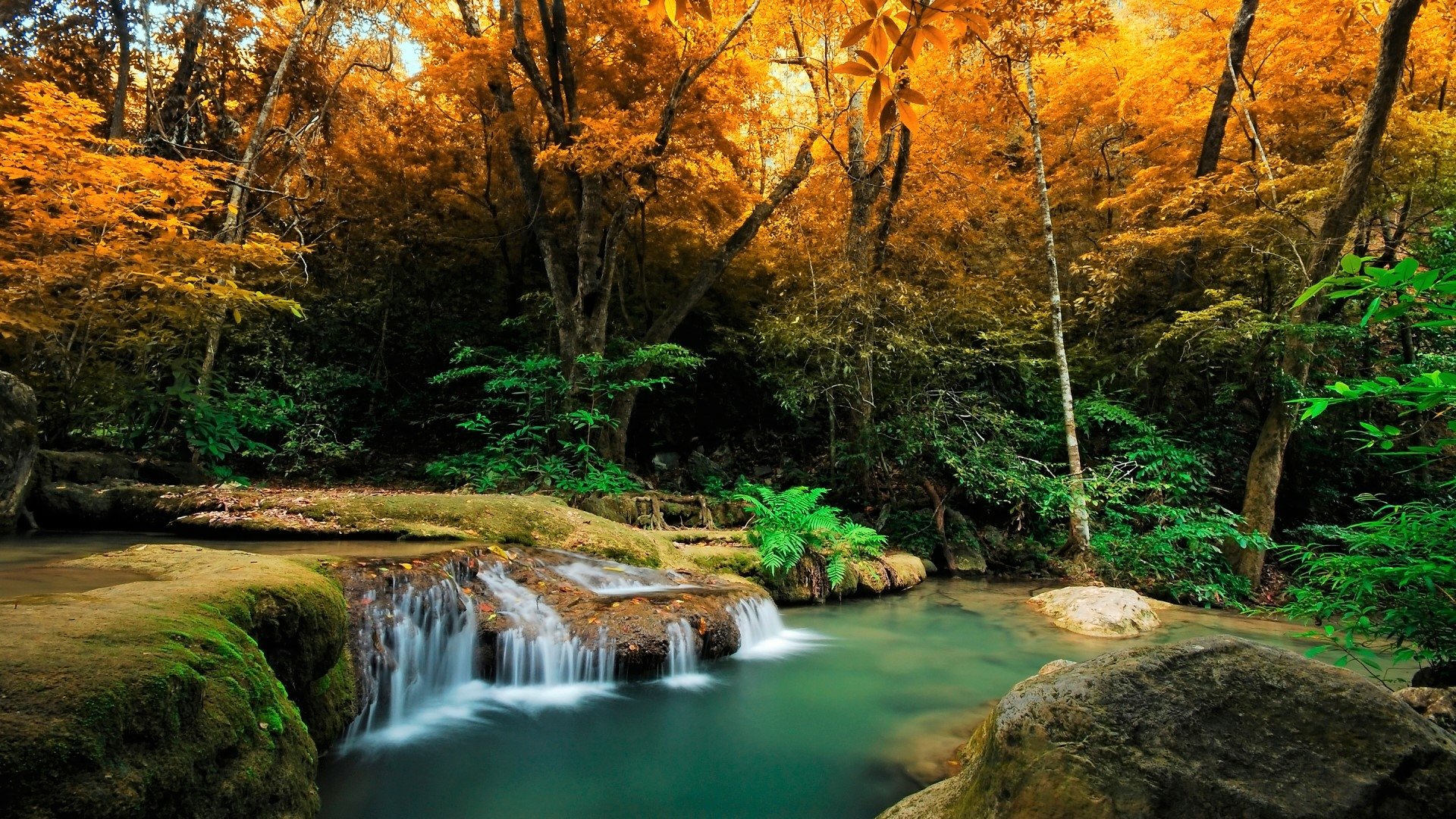 Download Fall Forest Nature Waterfall HD Wallpaper